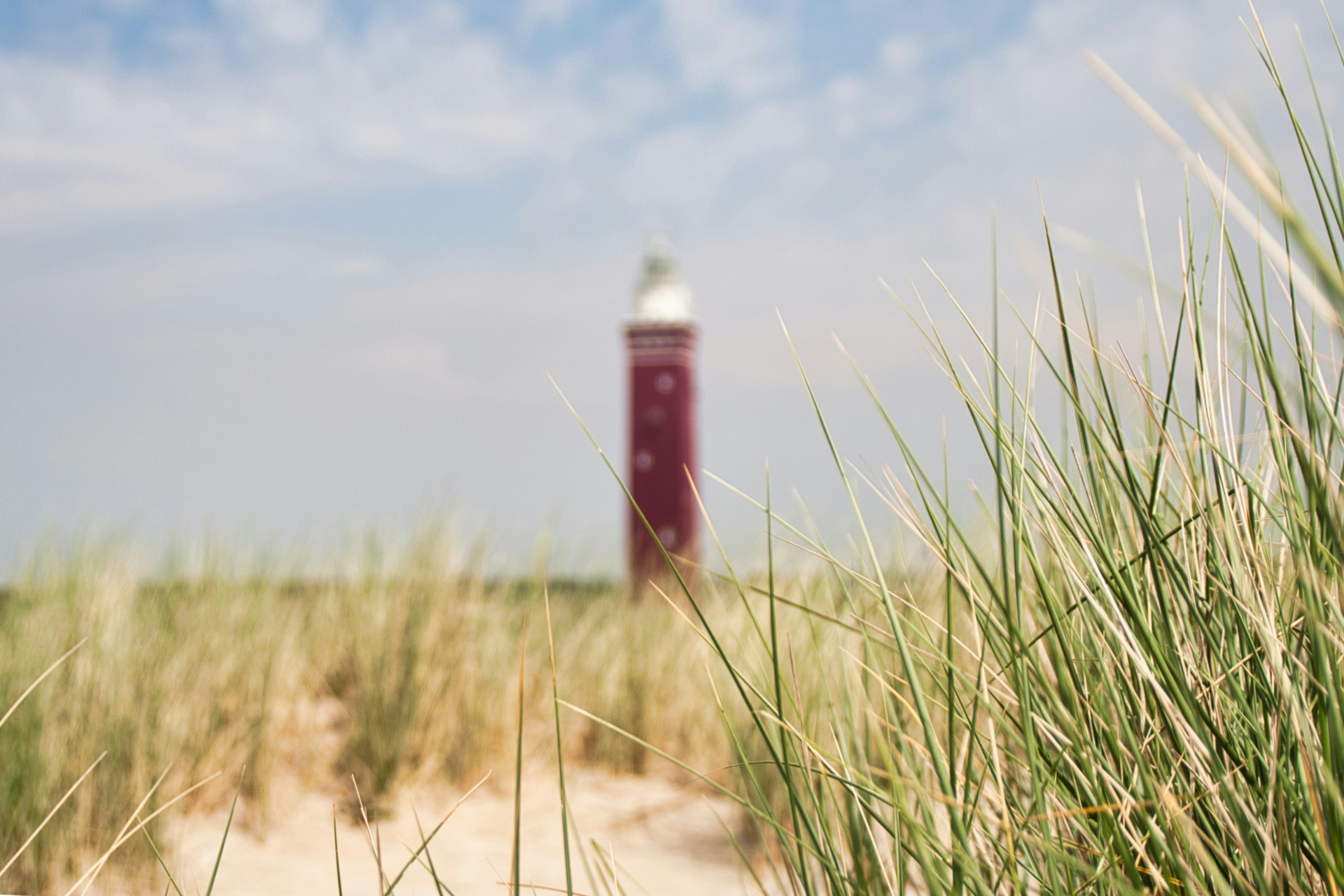 A red and white fire hydrant sitting in the sand photo – Free ...