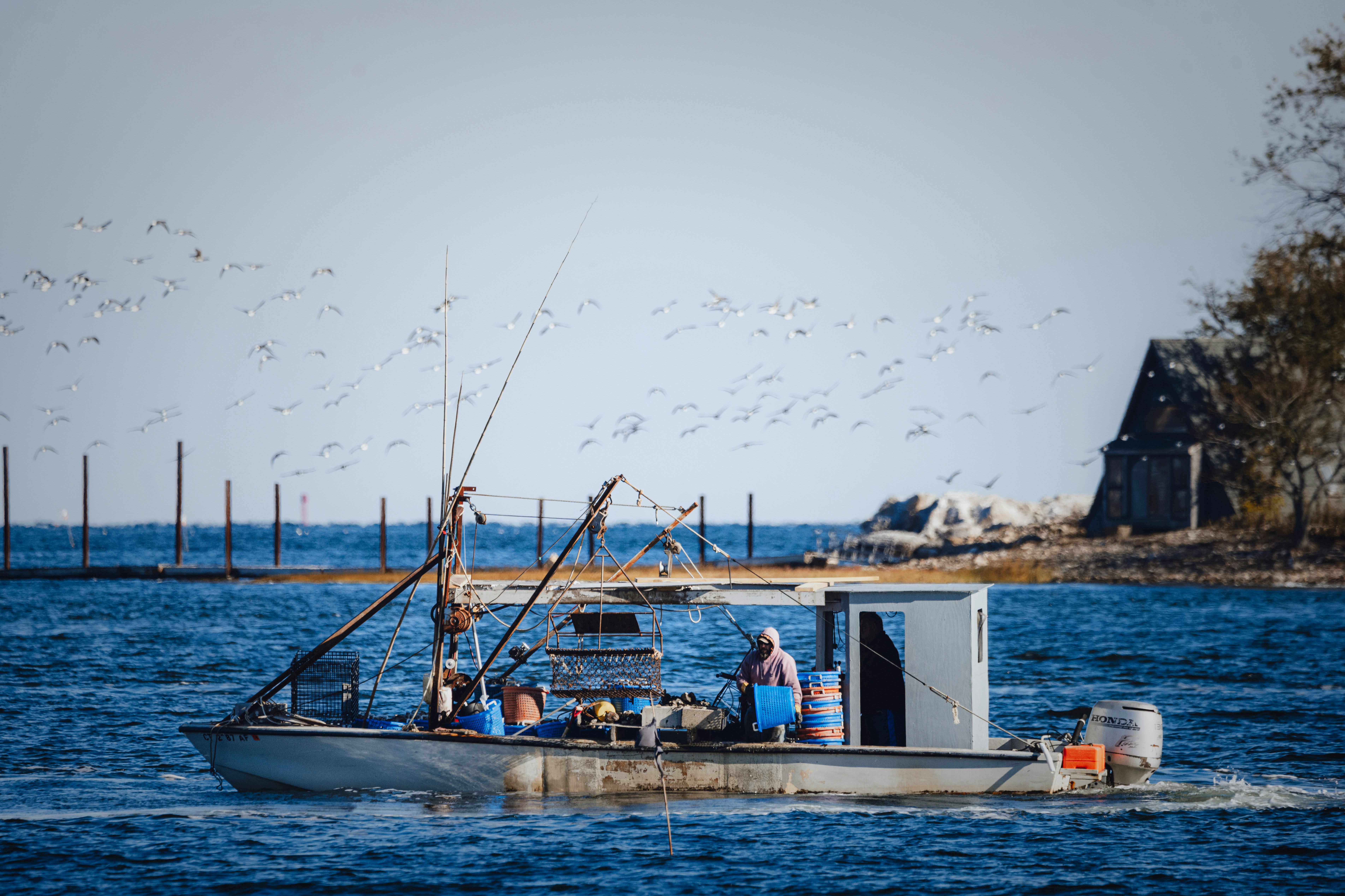 Harbor Workboat Under a Skimming Cloud of Gulls