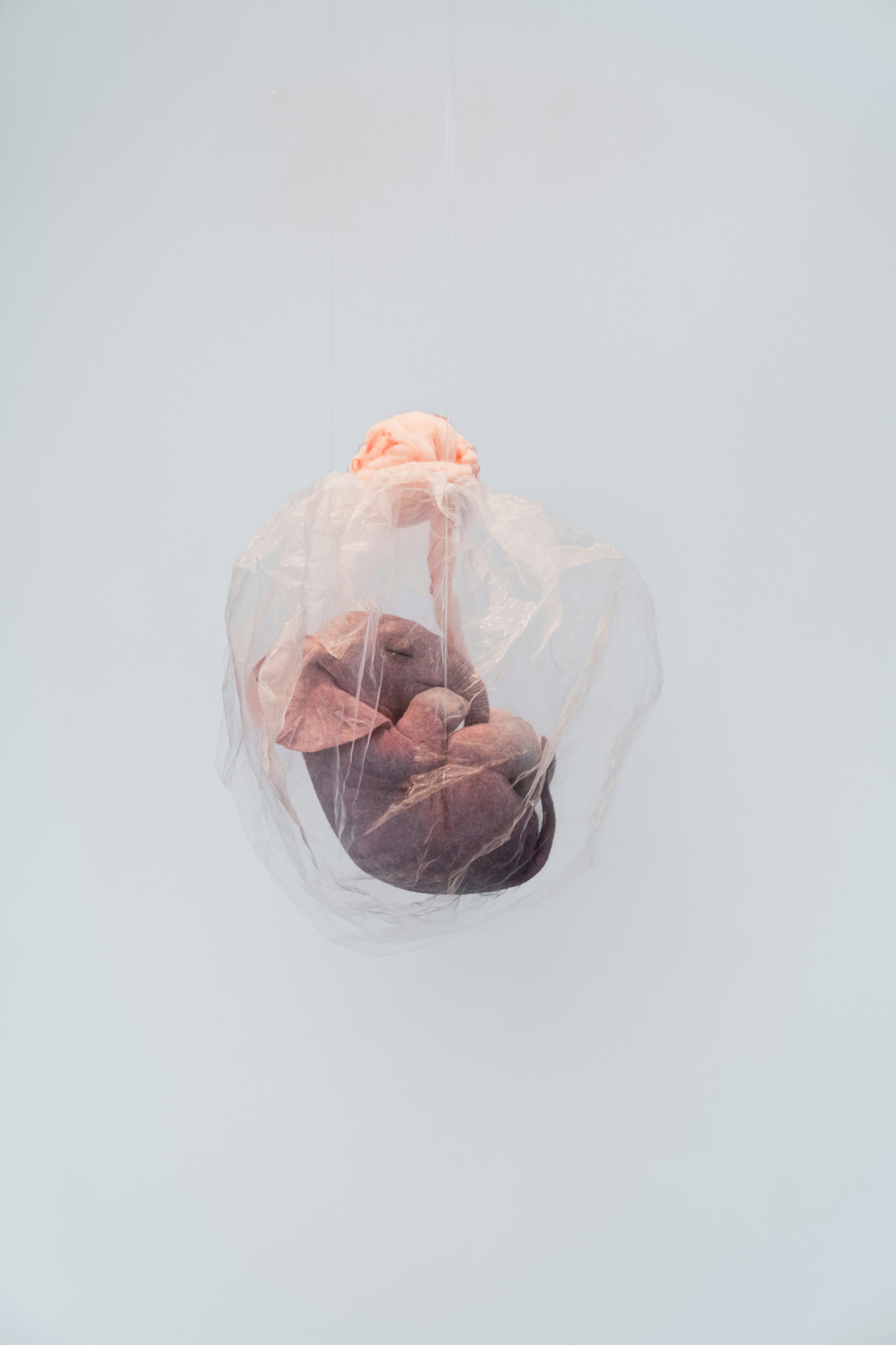 Wrapped in Light: A Delicate Veil over a Folded Form