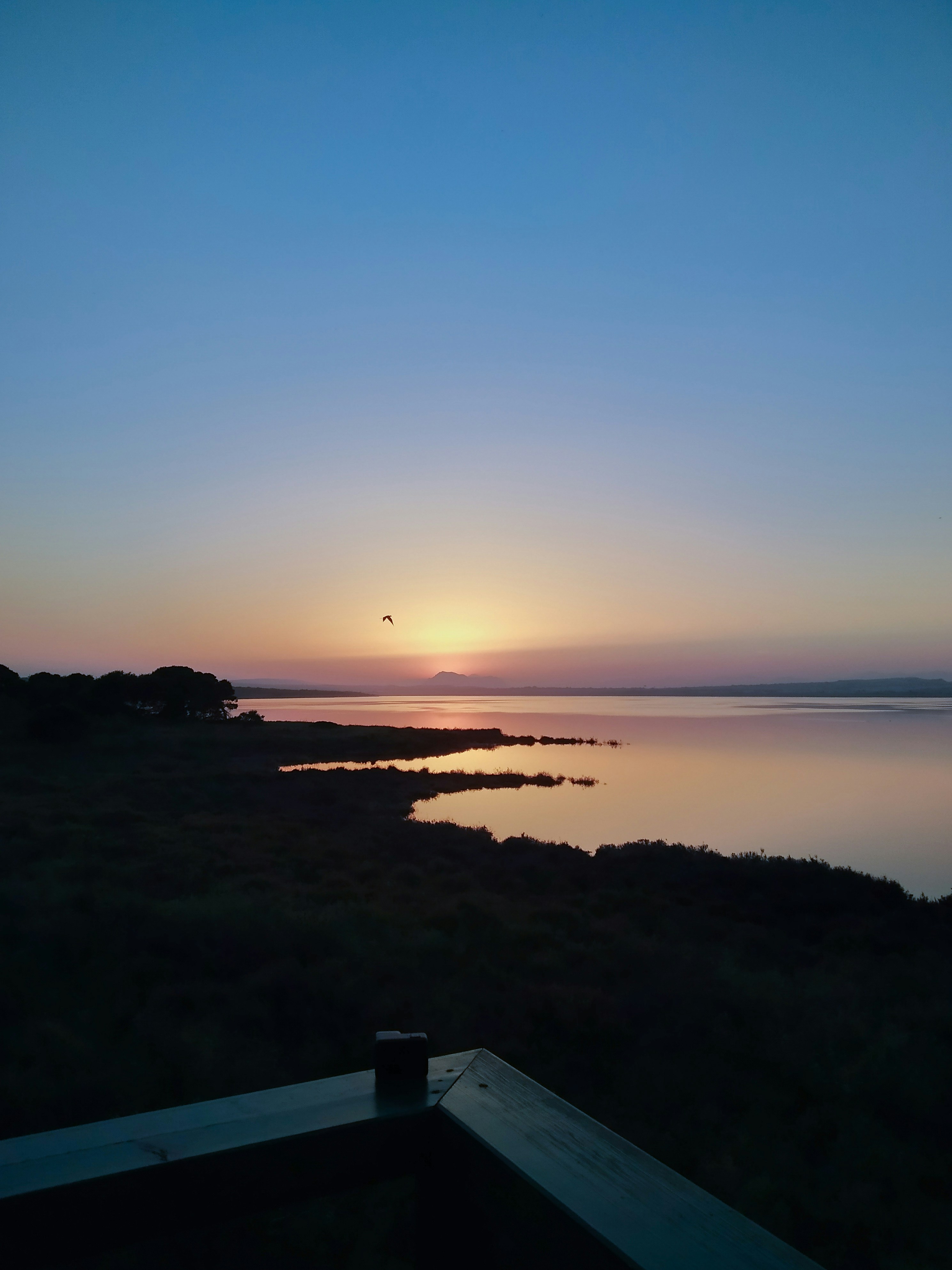 First Light Over a Quiet Estuary: Sun on Still Water from a Deck