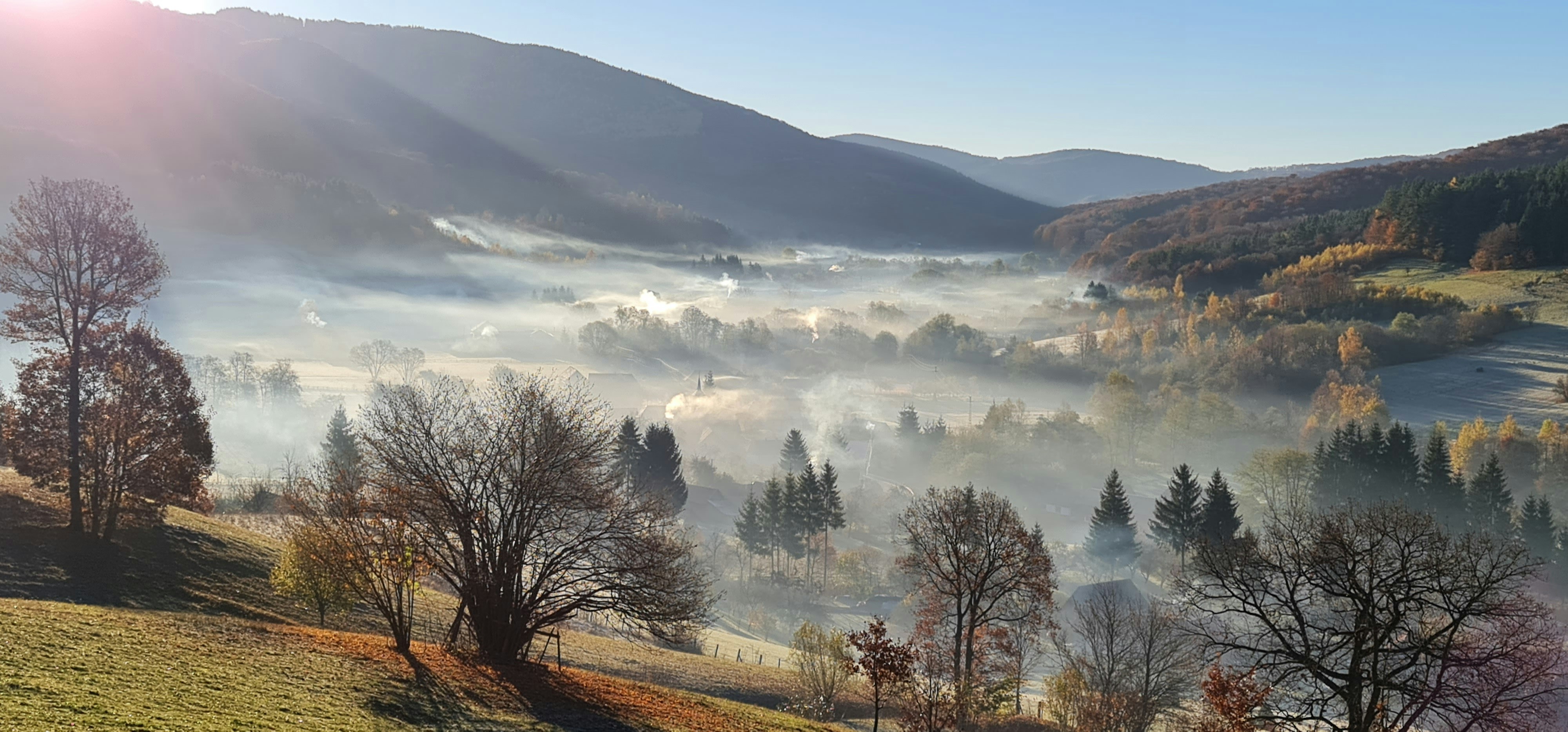 A view of a valley with trees in the foreground photo – Free Nature ...
