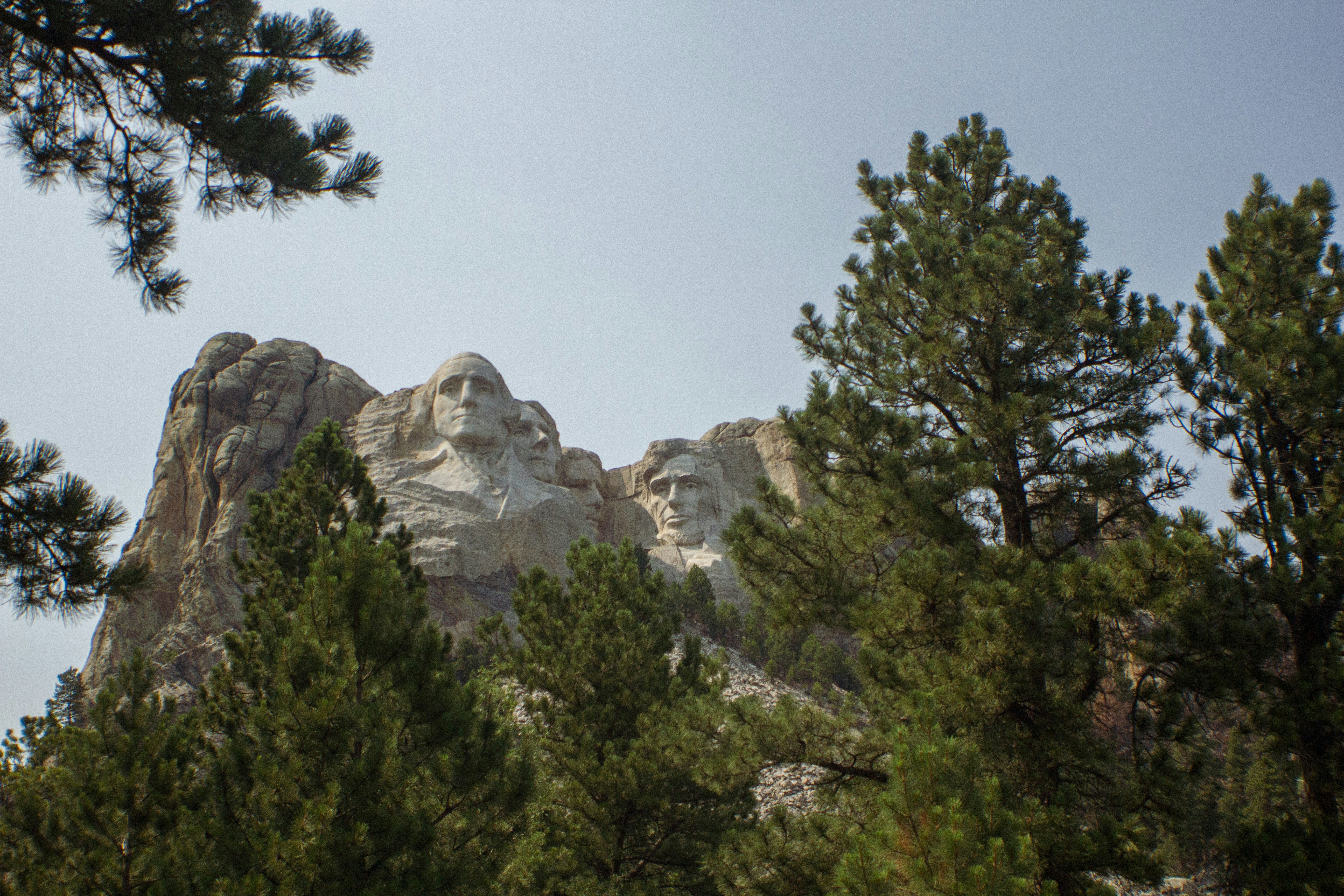 Mount Rushmore monument partially obscured by towering pine trees, showcasing the intricate sculptures of four U.S. presidents.