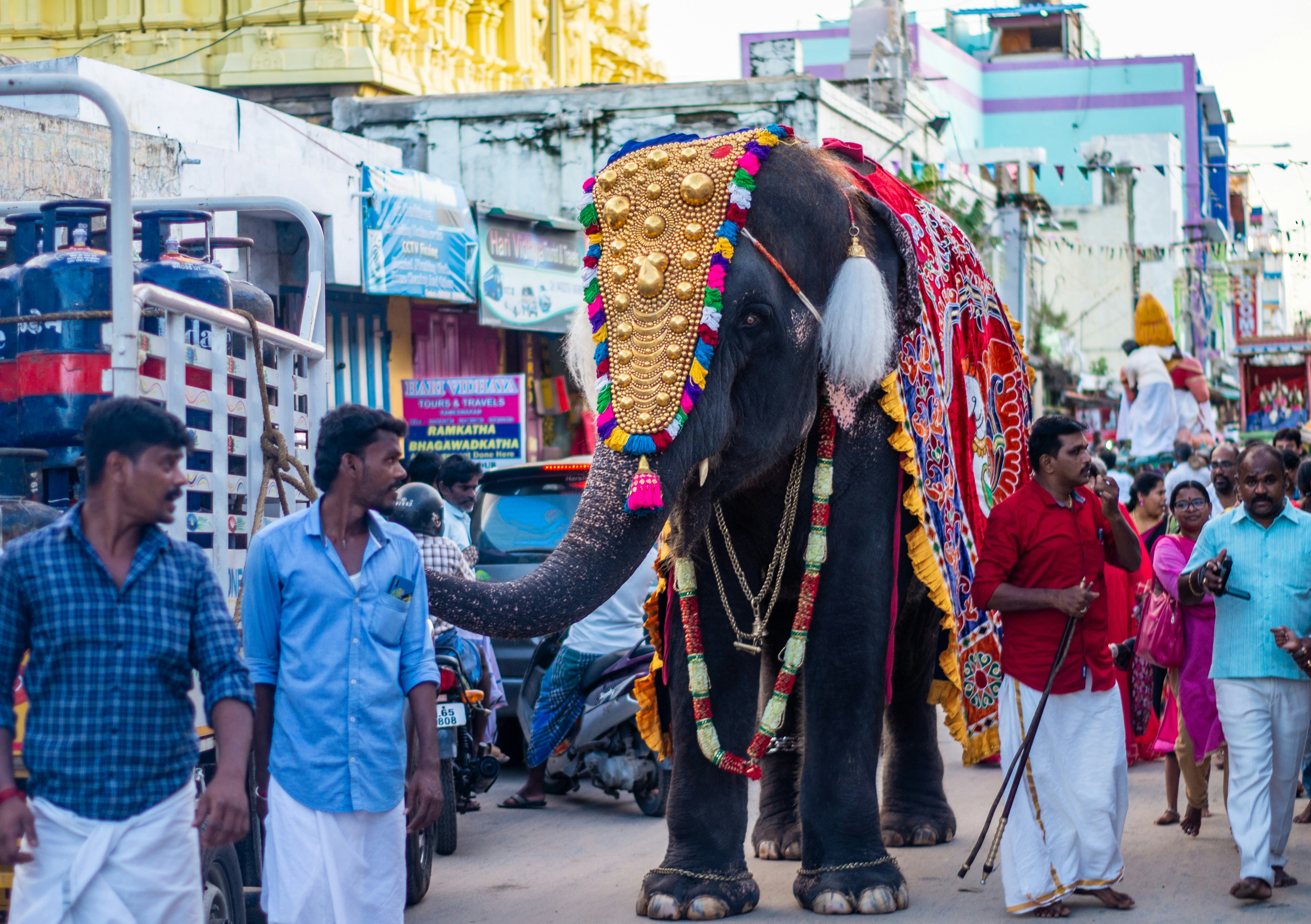 Decorated elephant adorned with vibrant fabrics and gold accents parades through a bustling street in Rameswaram, India.