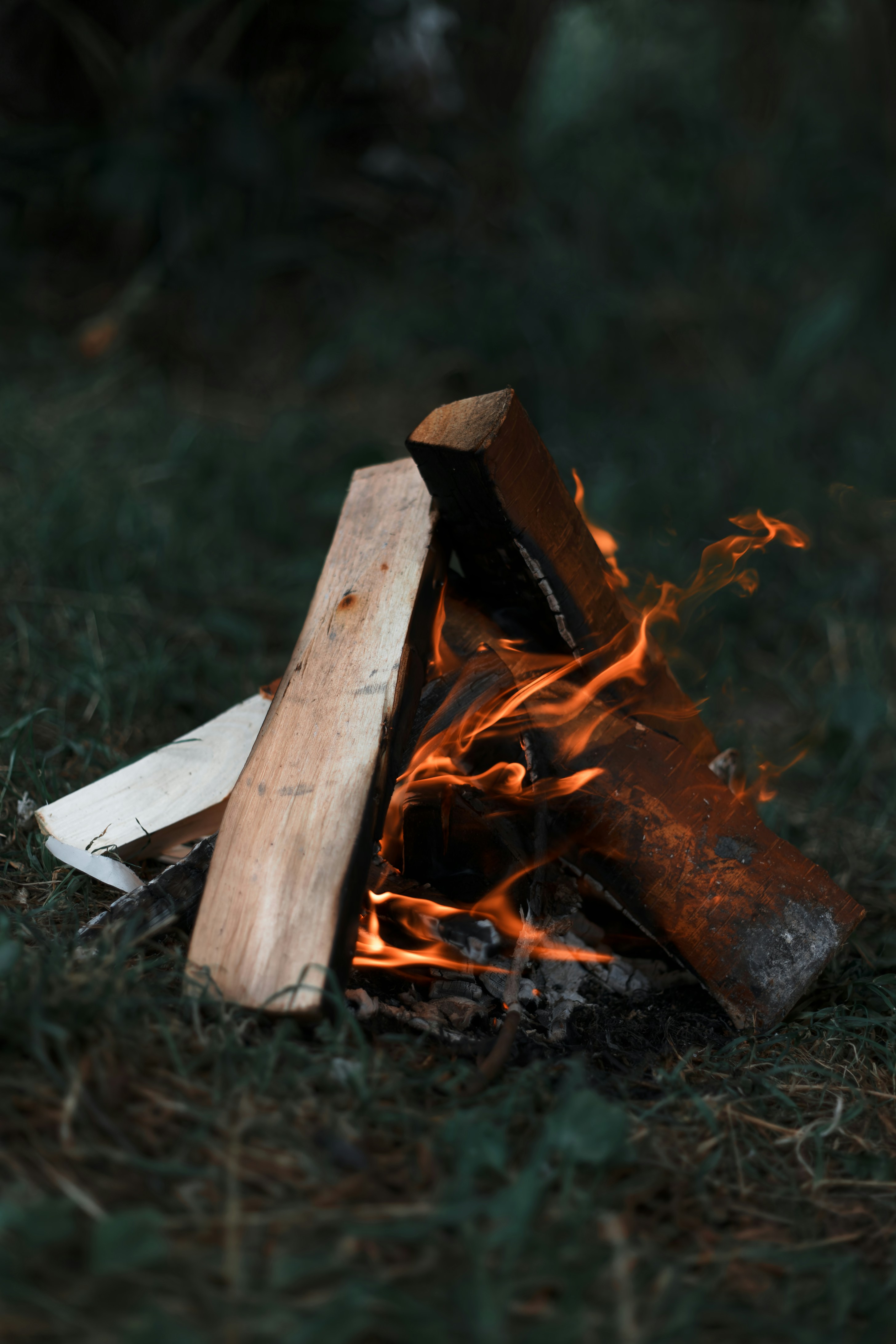 Embers of Connection: A Campfire's Warm Embrace