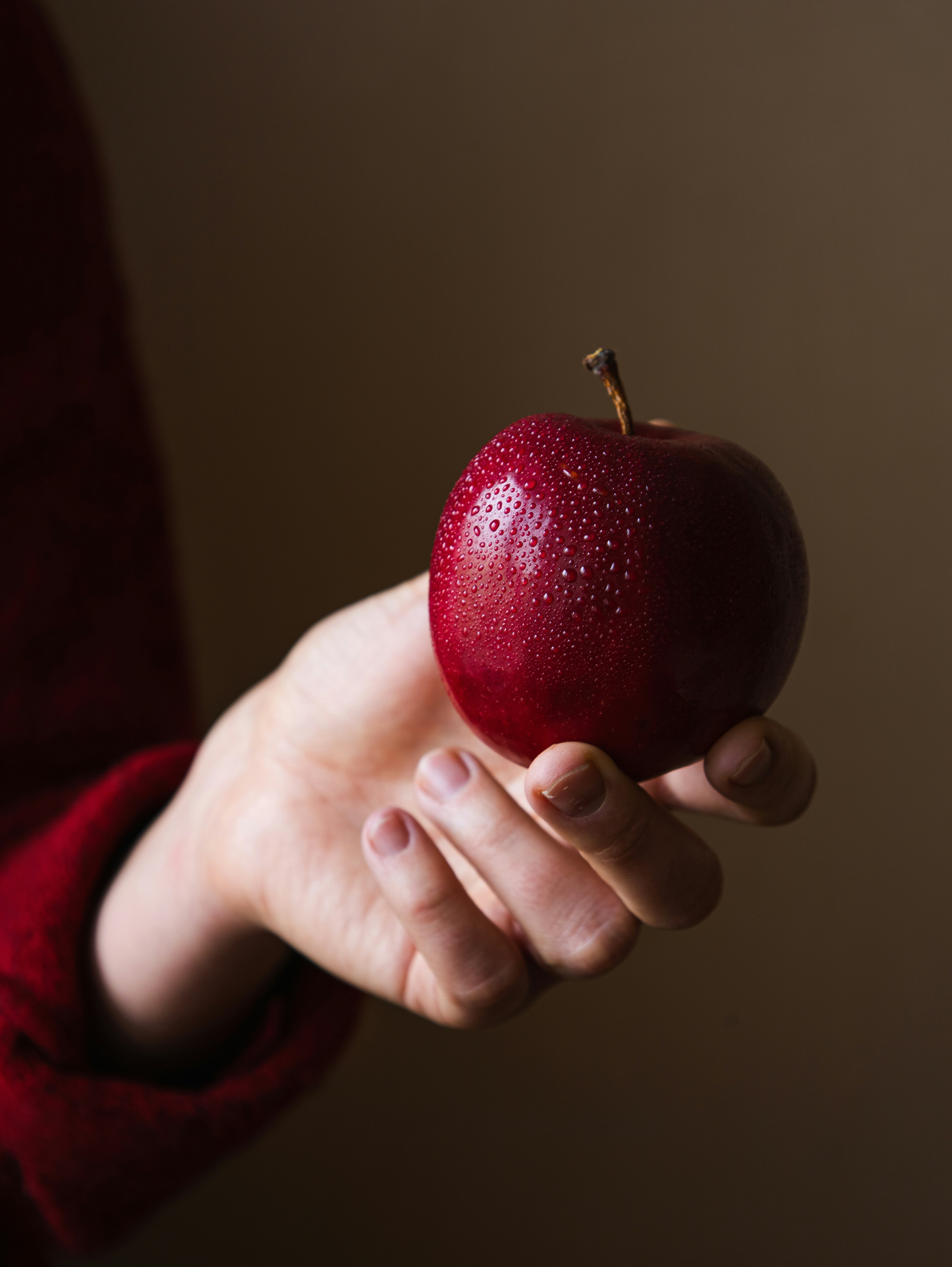 A person holding an apple in their hand photo – Free Plant Image on ...