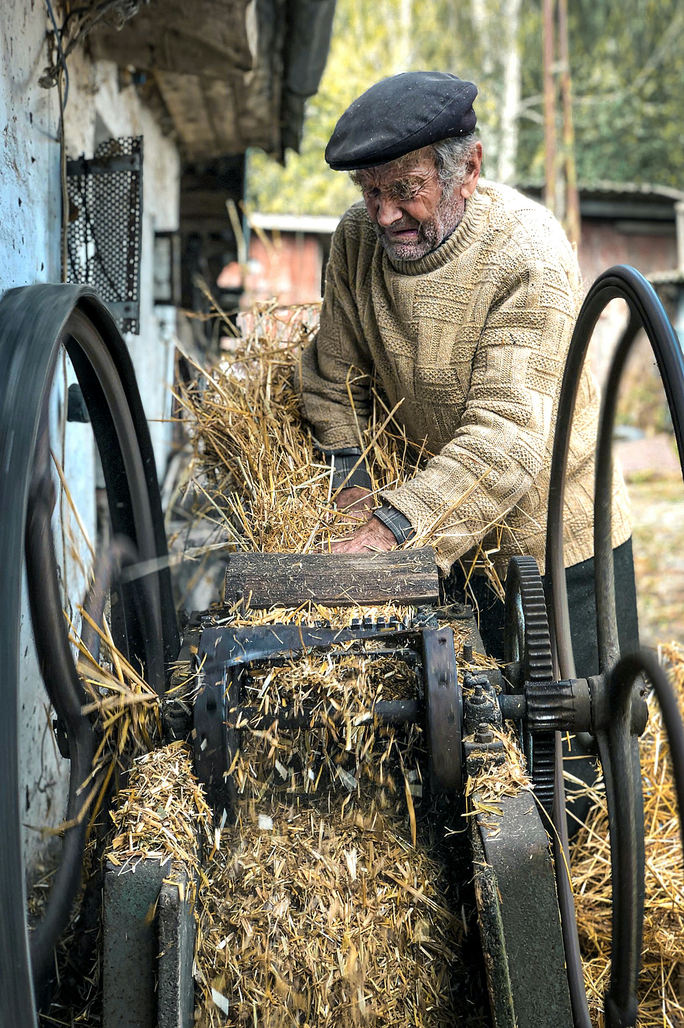 Elderly man operating a vintage straw threshing machine, surrounded by scattered straw and rustic farm surroundings.