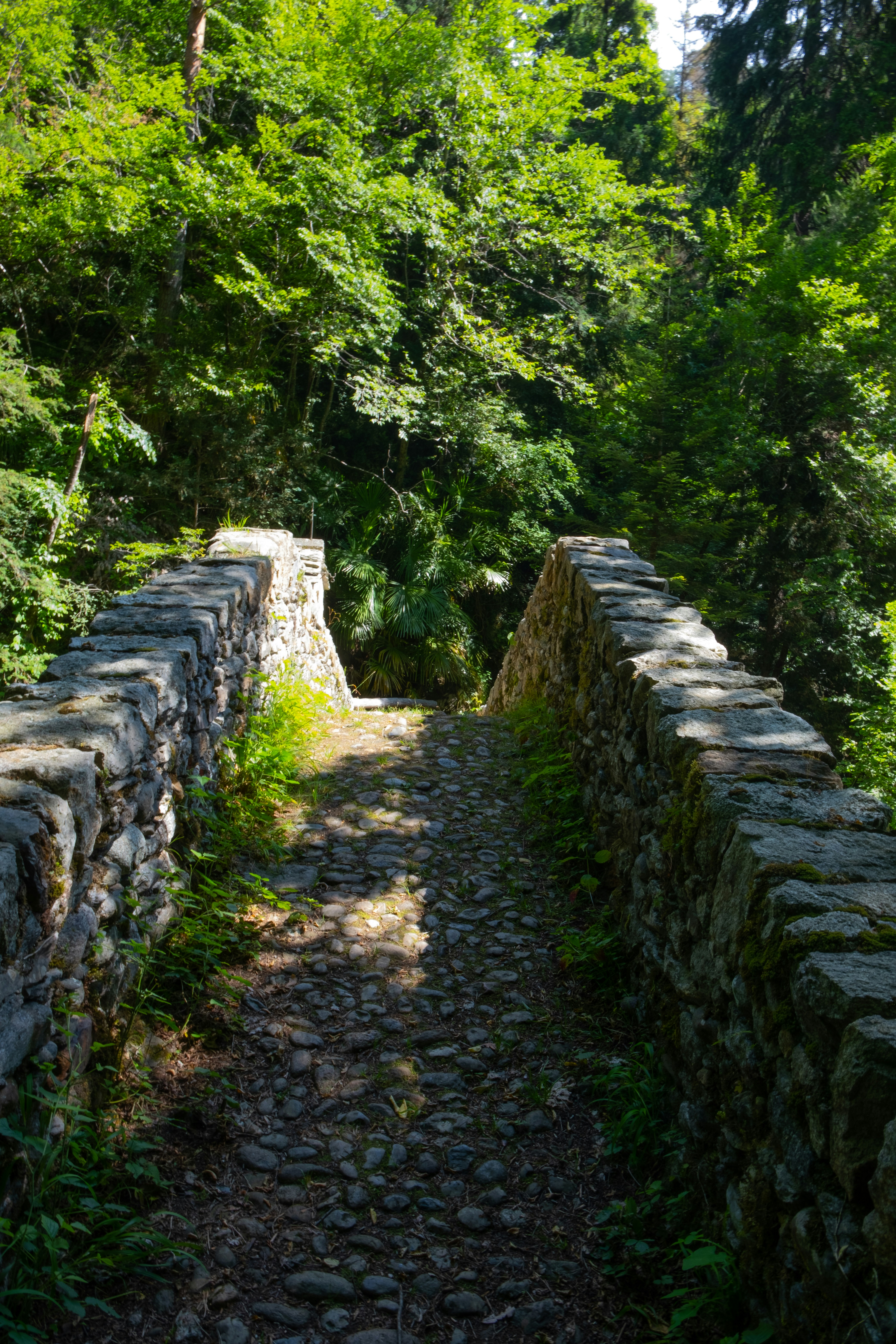 a stone bridge in the middle of a forestLine Kjær