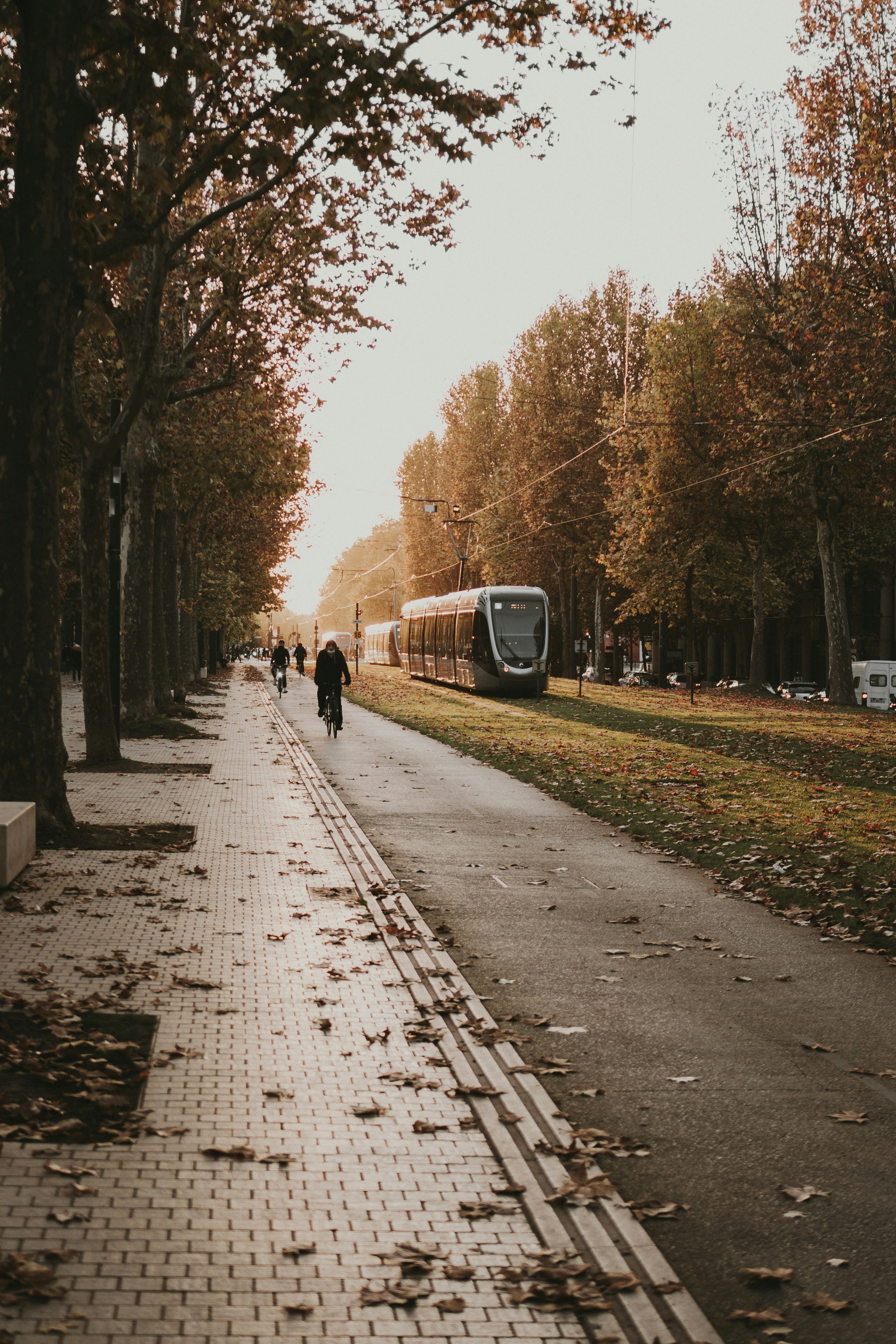 Tram gliding through a tree-lined street as pedestrians and cyclists enjoy a serene autumn evening. Leaves blanket the ground.