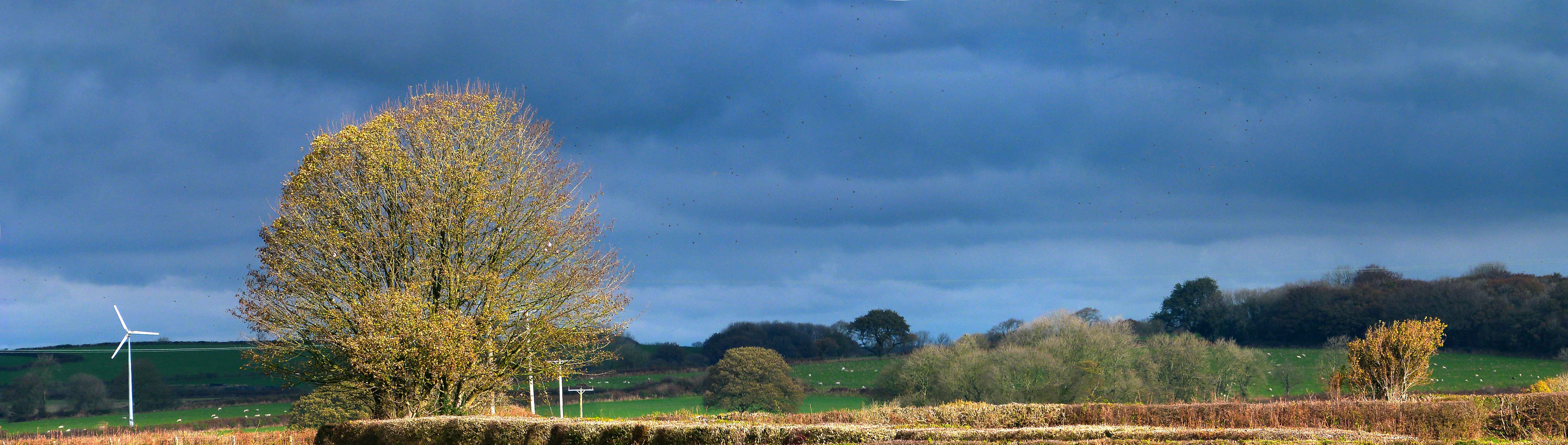 A field with hay bales and a wind turbine in the background photo ...