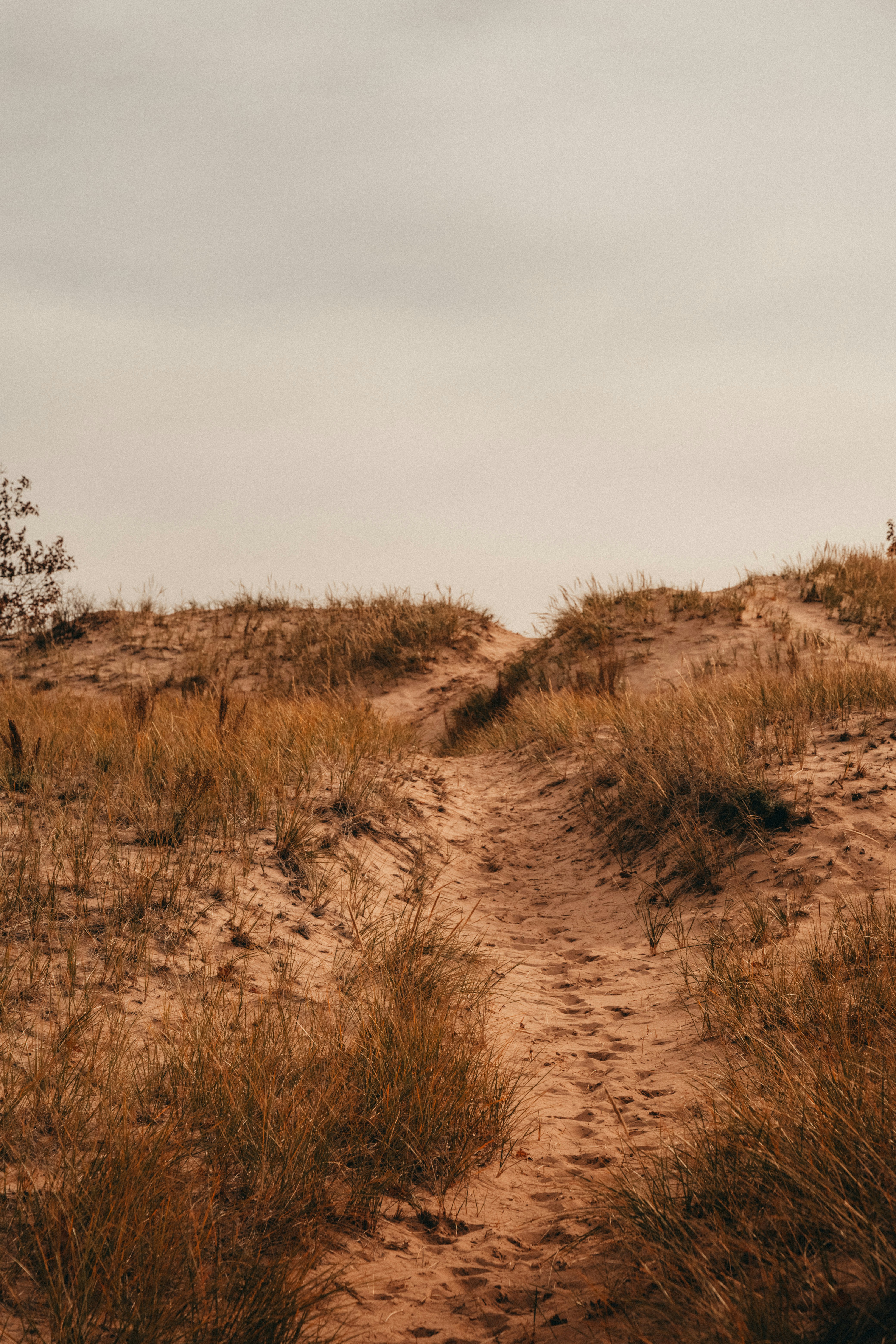 Winding sandy trail leading through golden grass-covered dunes under a soft, cloudy sky.