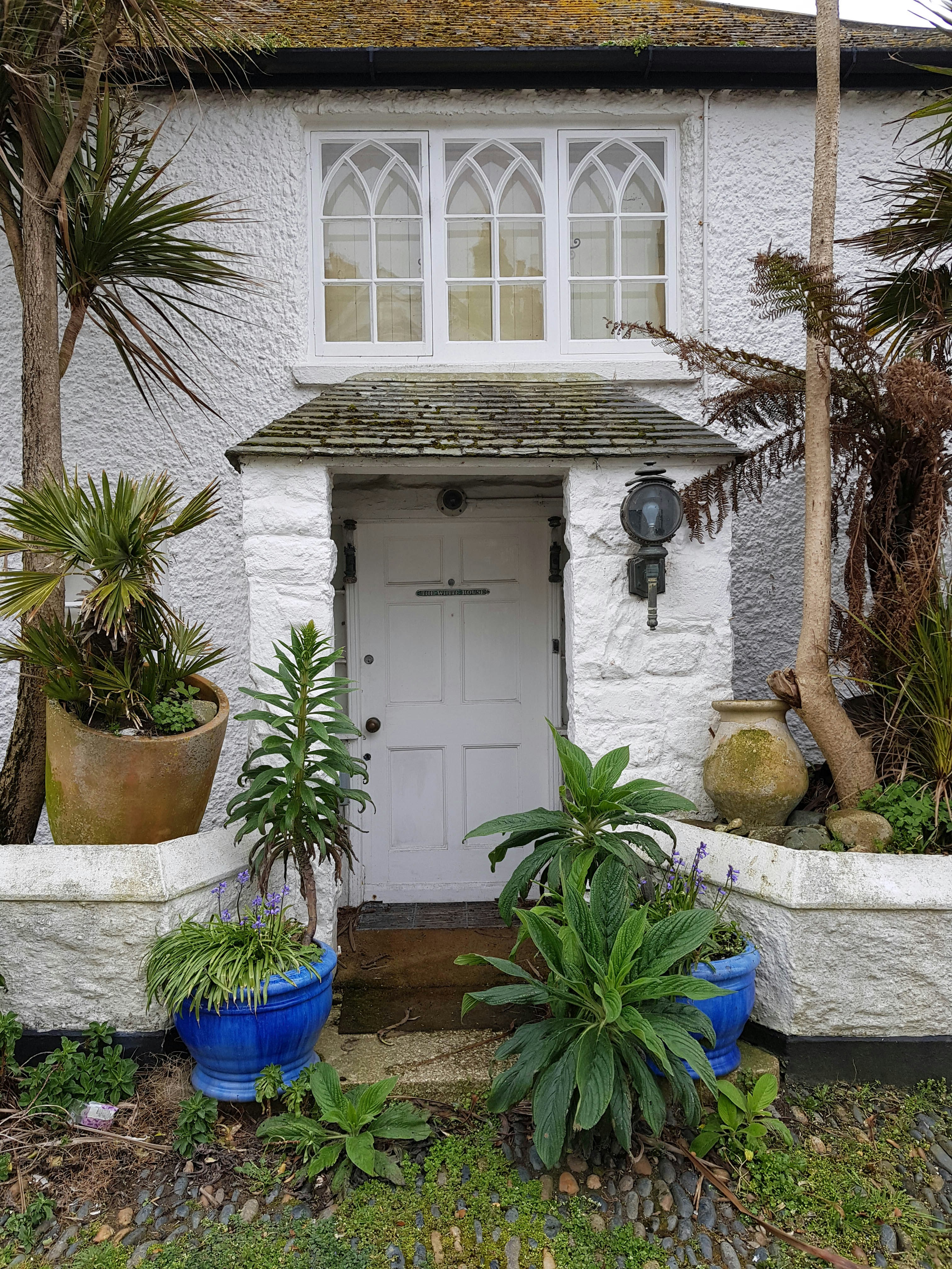 a white house with potted plants in front of it