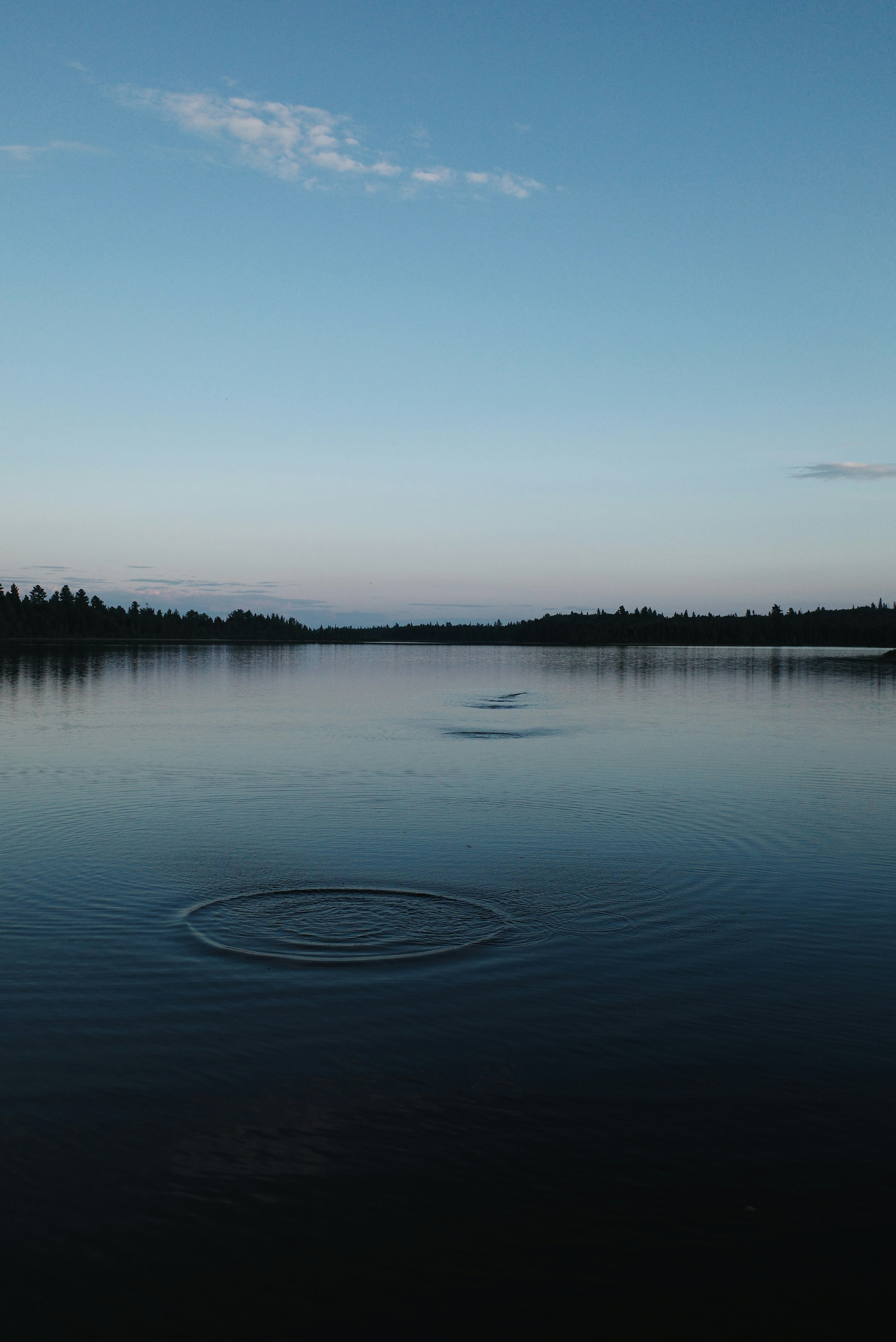 Concentric Ripples on a Glassy Lake Under a Pale Blue Sky