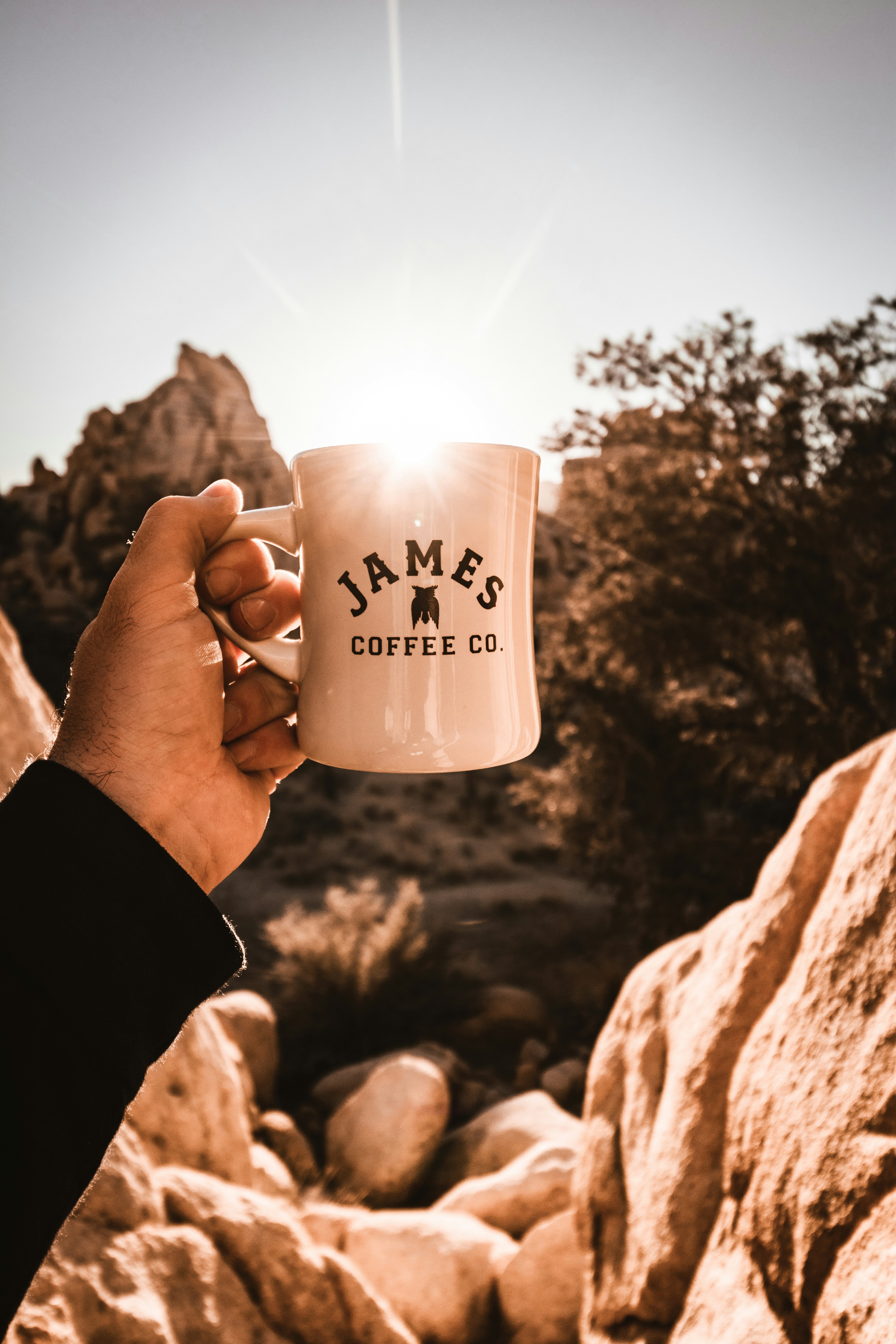 Sunburst Sip: James Coffee Co. mug framed by a sunlit canyon