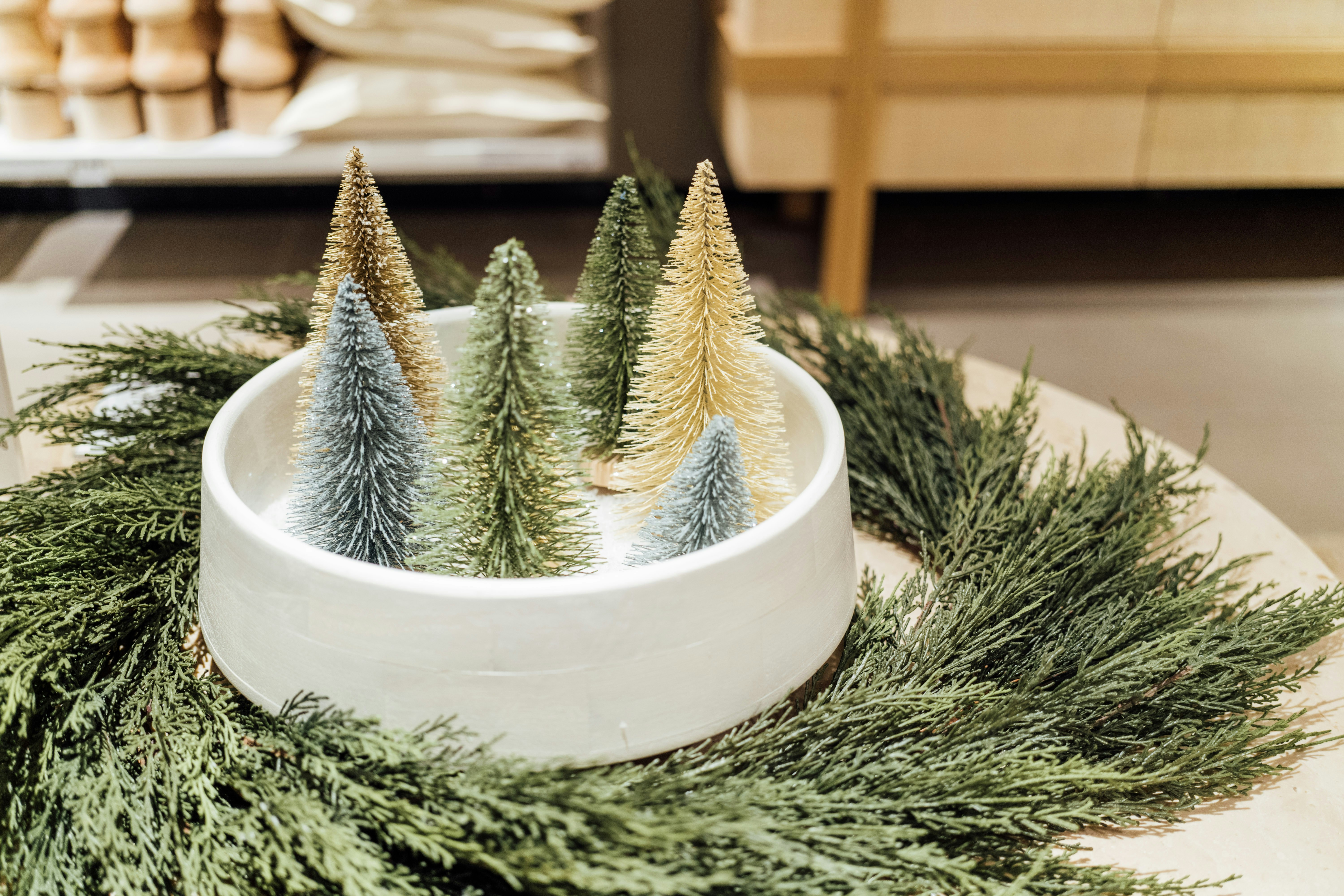 Miniature Forest in a White Bowl: A Seasonal Still-Life