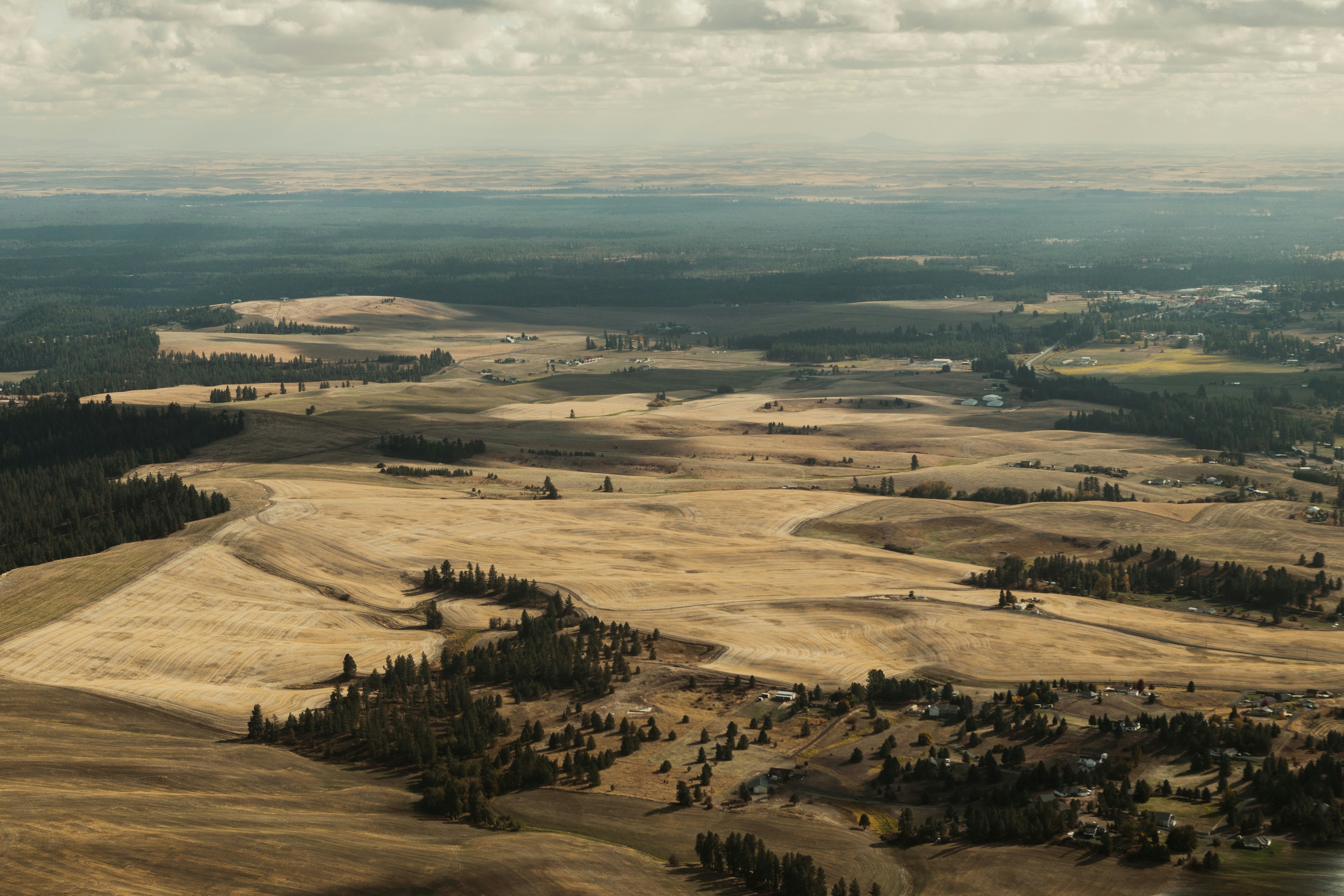 An aerial view of a large field with trees photo – Free Spokane Image ...