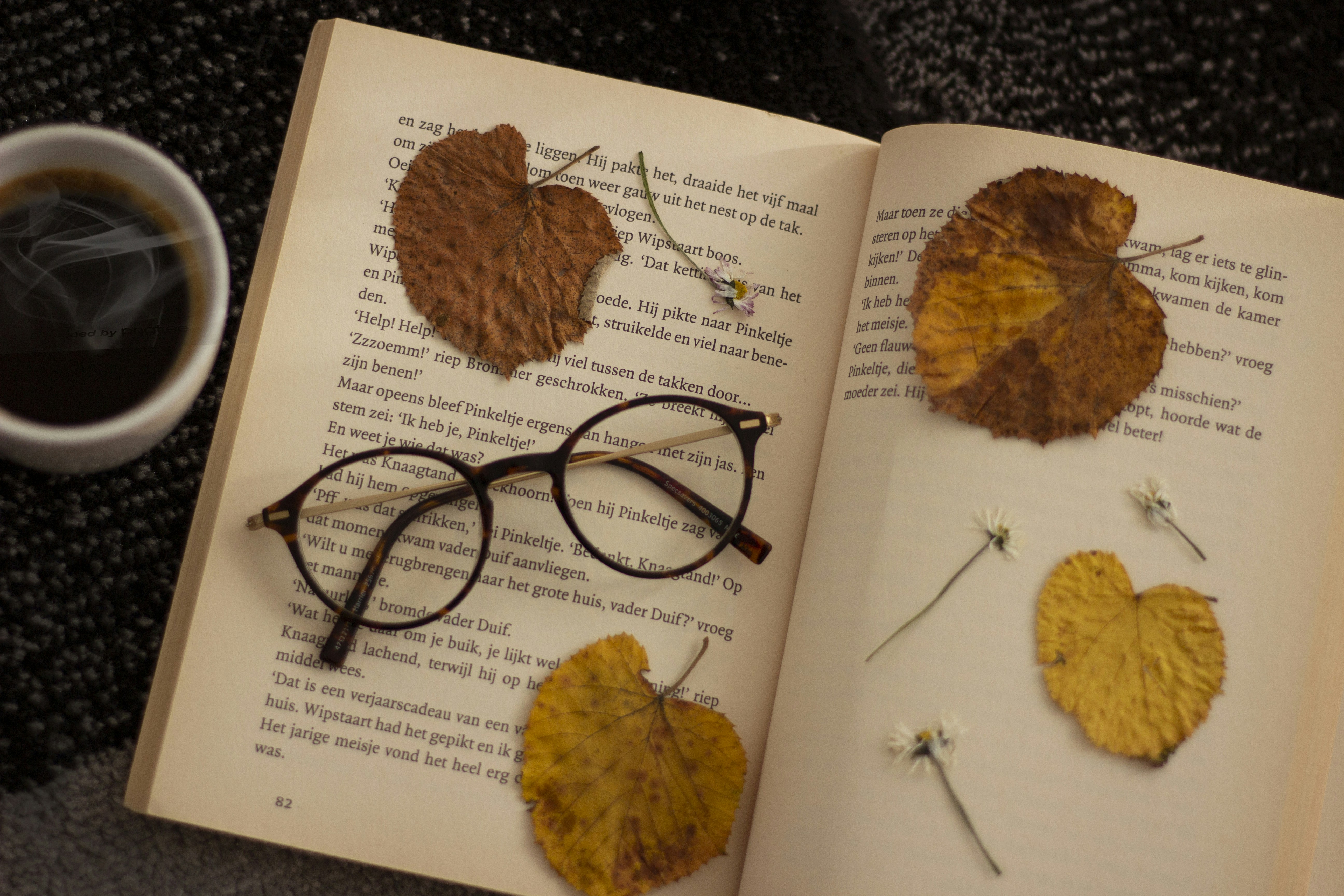 Survival Writing - by Abigail Padgett