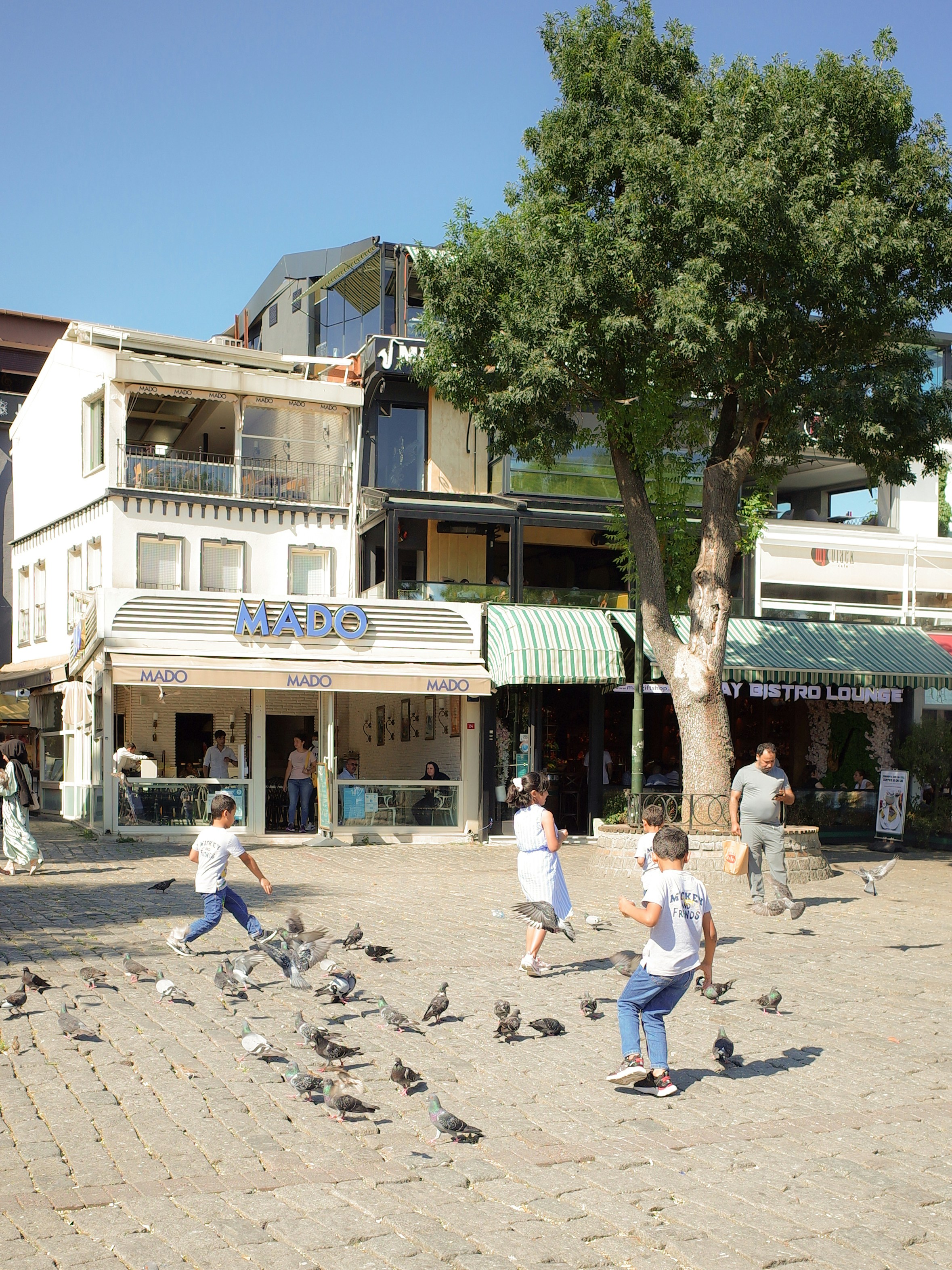 Children run and scatter pigeons across a sunlit plaza in front of a two-story storefront labeled MADO. A large tree and striped awnings frame the lively street scene.