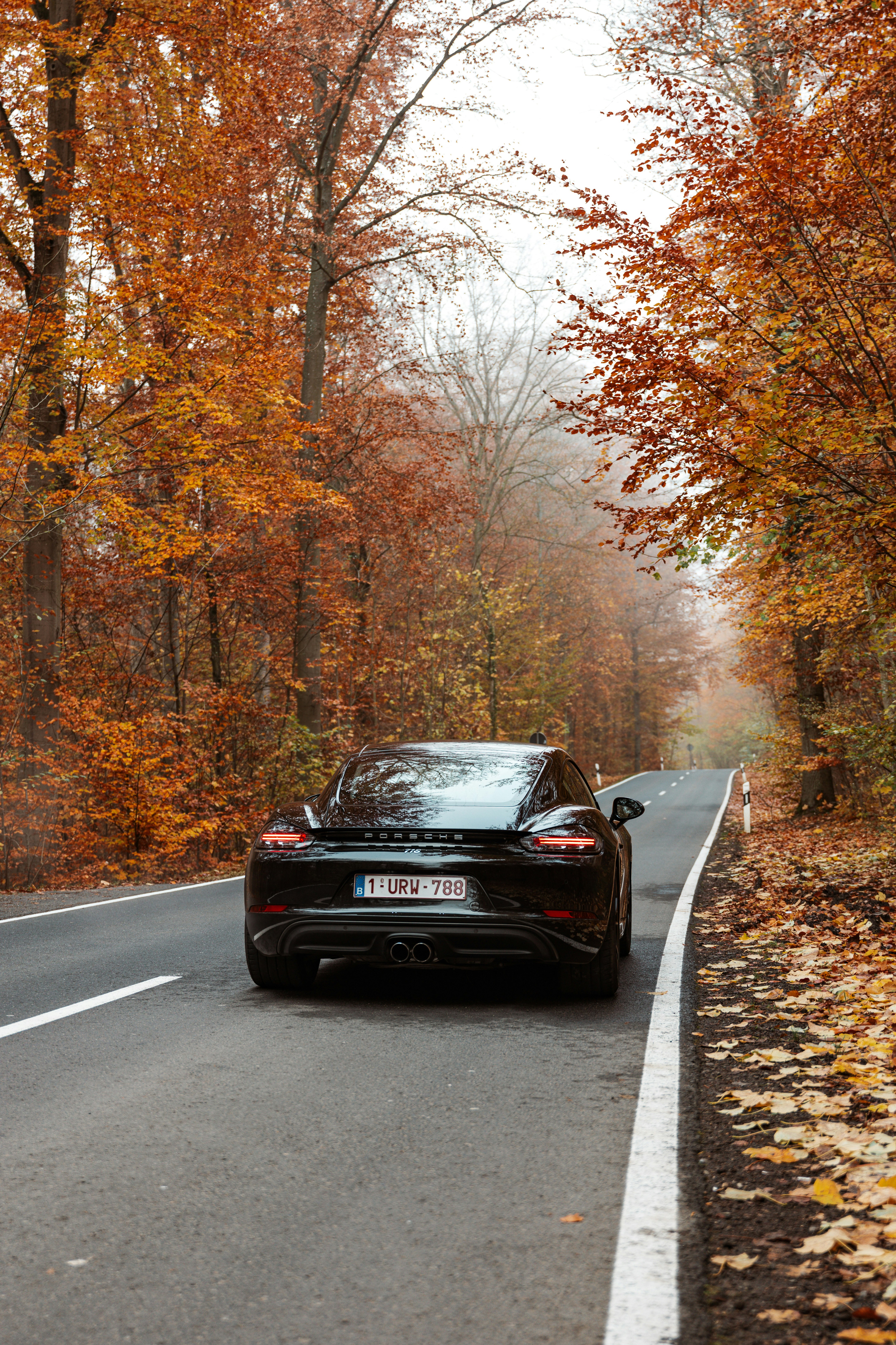 A sleek black sports car parked on a winding road surrounded by vibrant autumn foliage. The misty atmosphere adds a touch of mystery.