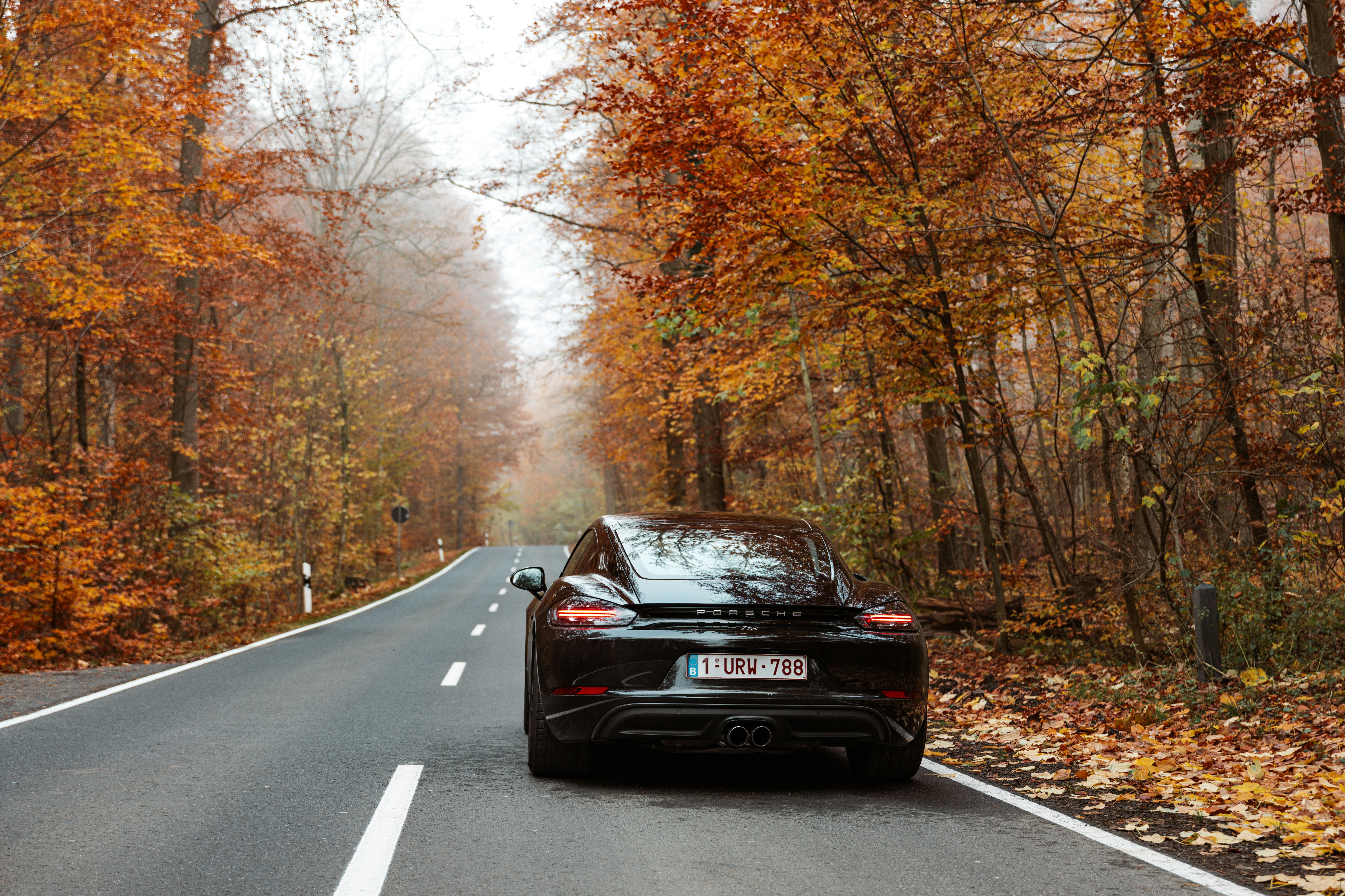 A car driving down a road surrounded by trees photo – Free Burg eltz ...