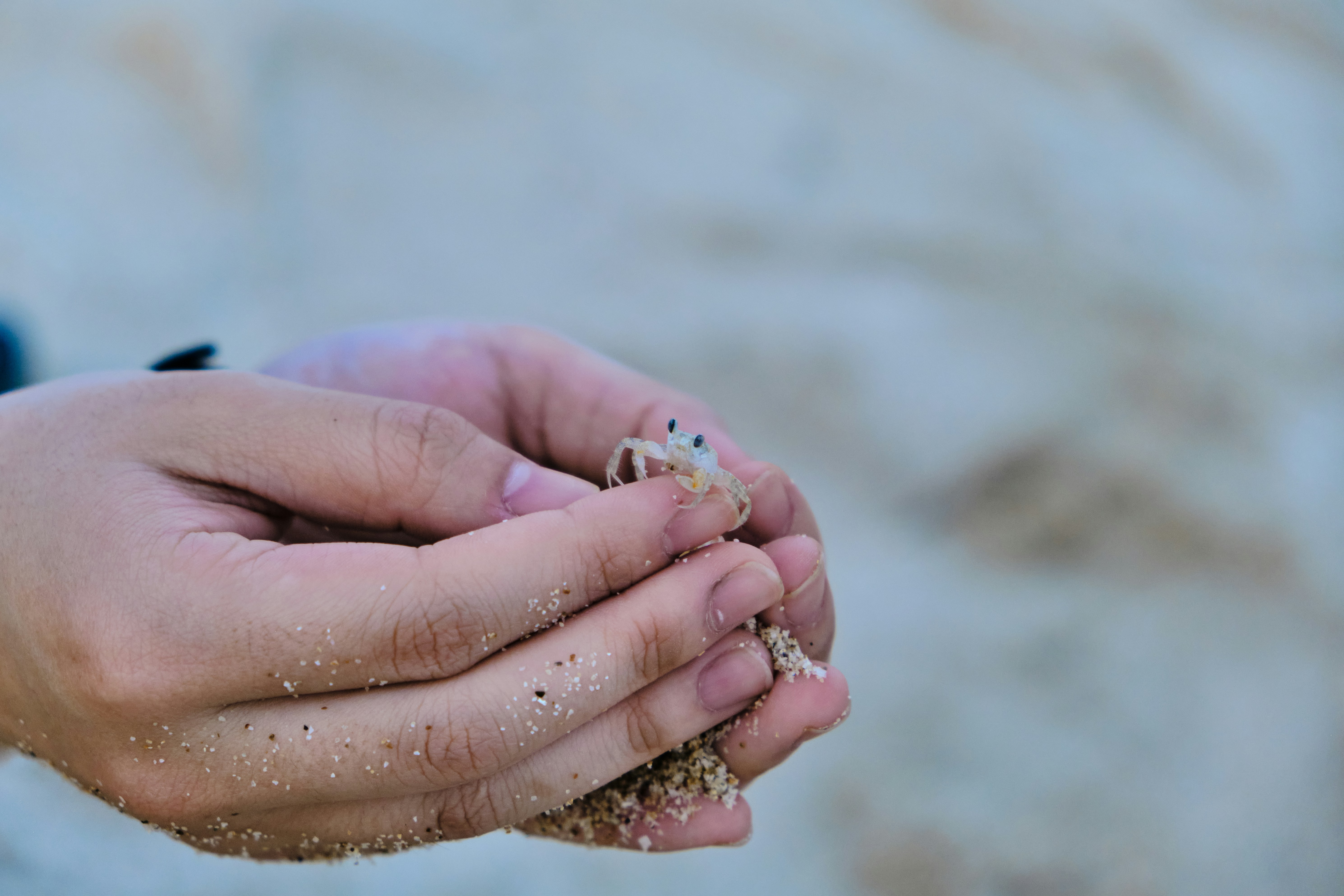 A person holding a handful of sand in their hands photo – Free Sanya ...