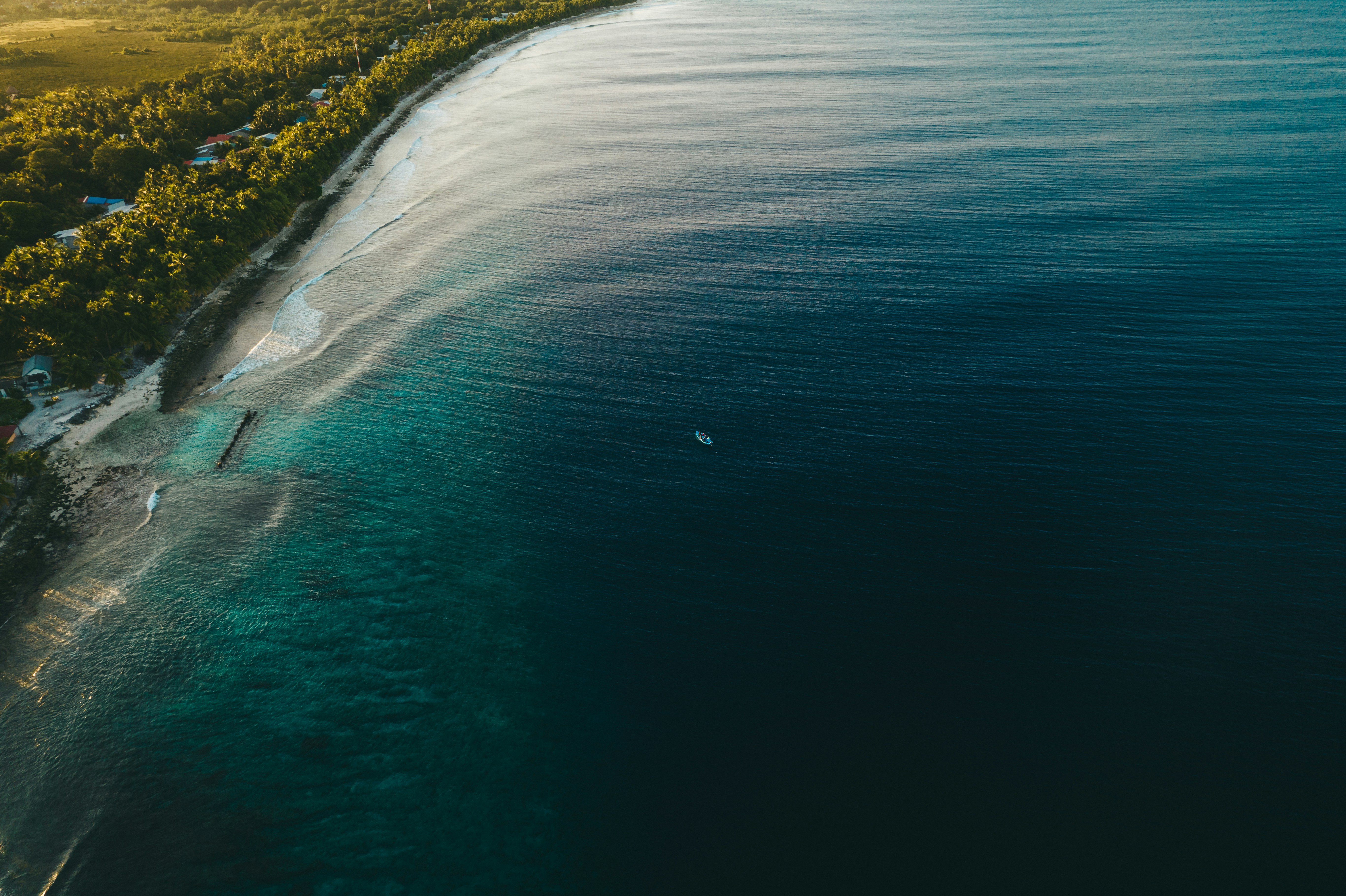 Coastal Ribbon: Aerial View of Beach, Reef, and Forest