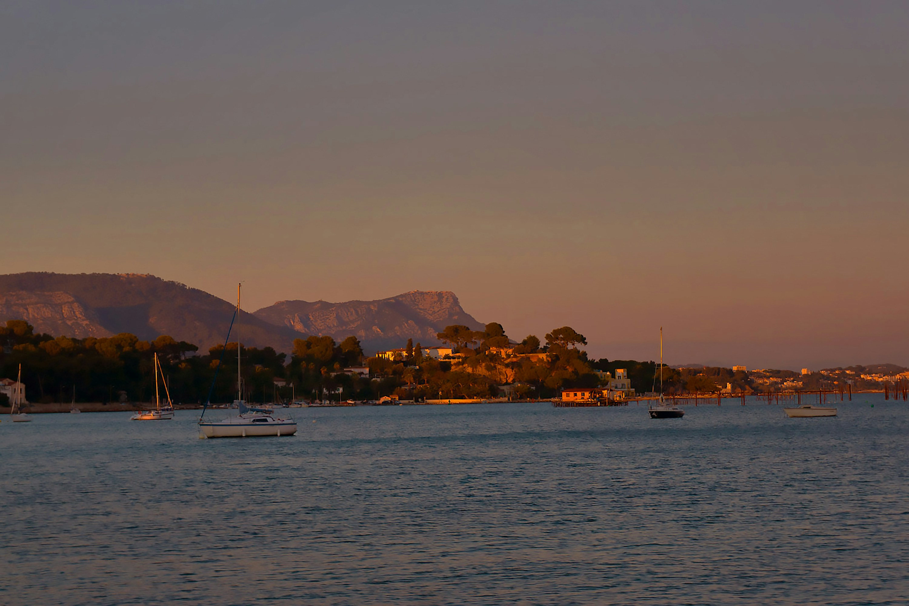 Golden Horizon: Sailboats at Dusk