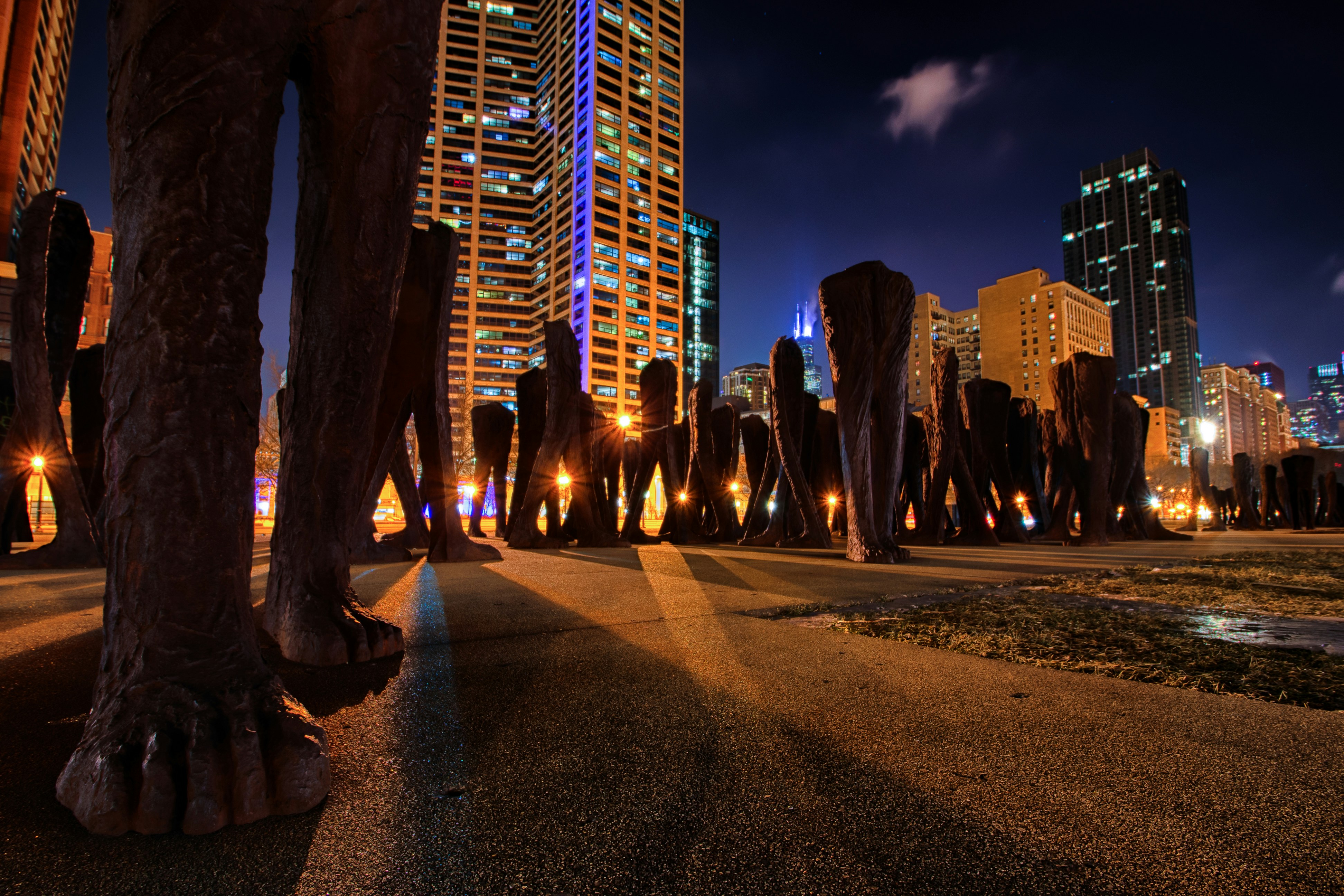 Timber Colossi and the Neon Skyline: A Ground-Level Nightscape