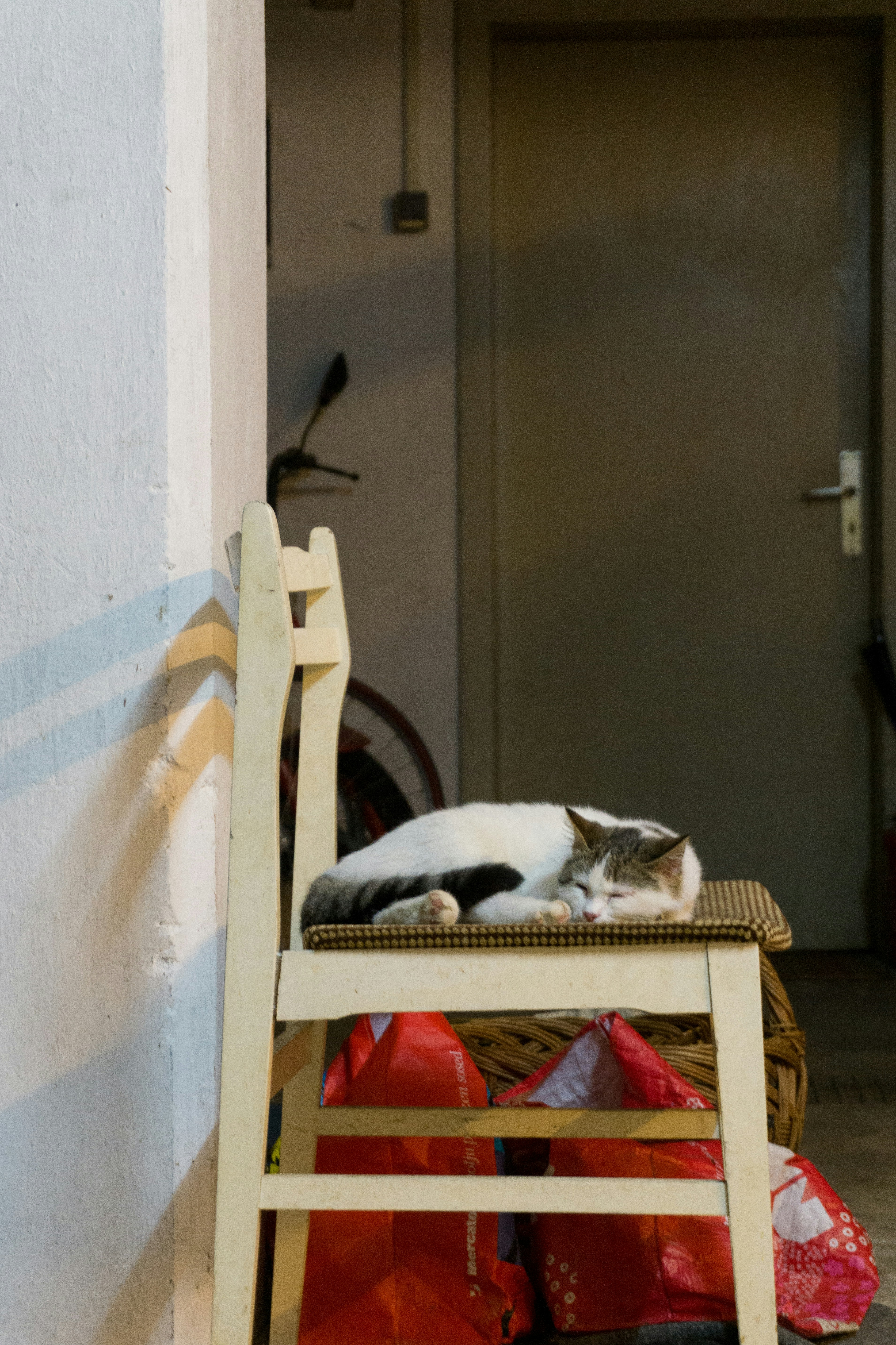 a cat laying on top of a wooden chair