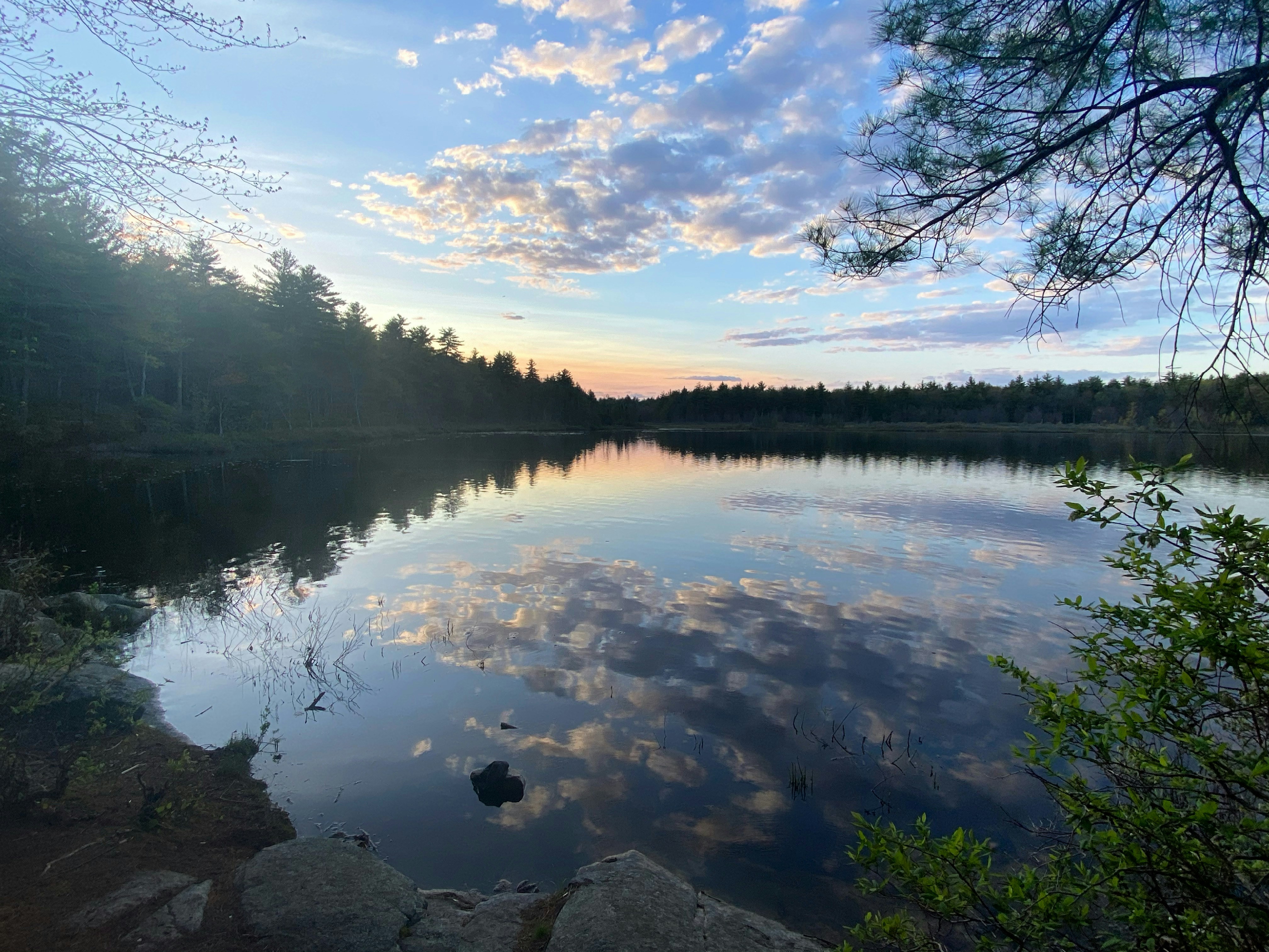 Shawna D’Amour (@shawnadrama) | Unsplash 사진 커뮤니티
