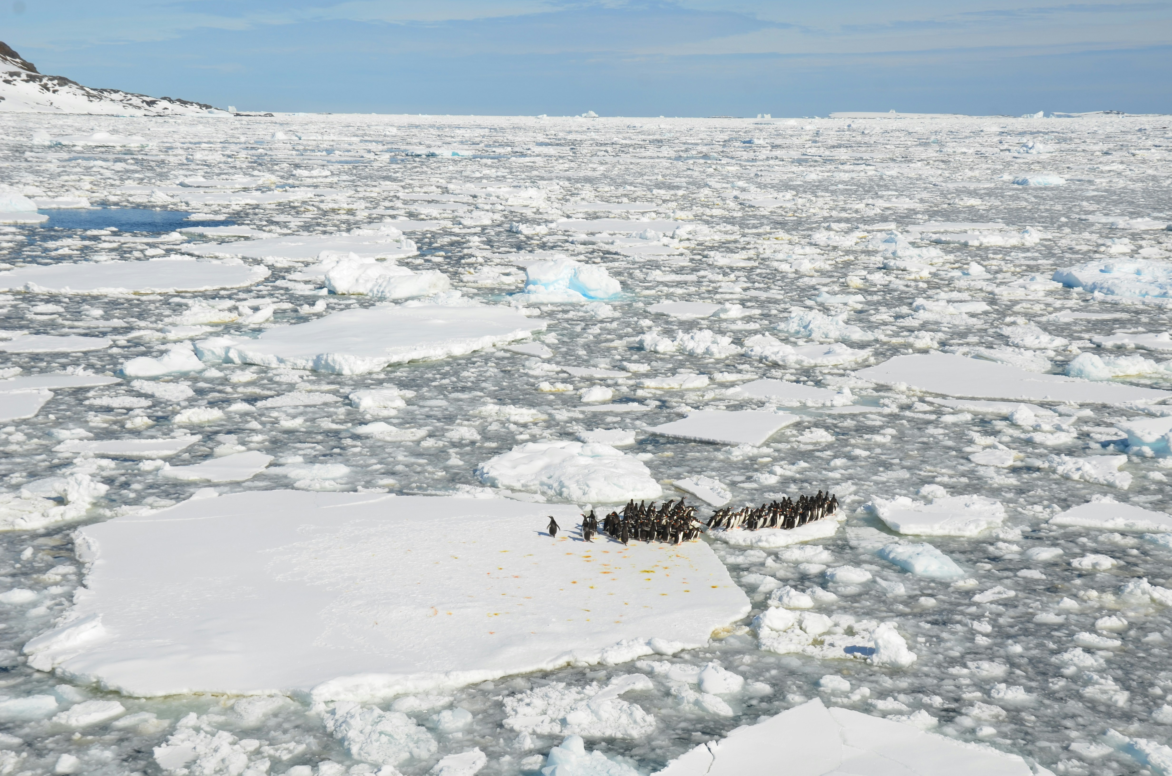 A group of people standing on top of ice floes photo – Free Nature ...