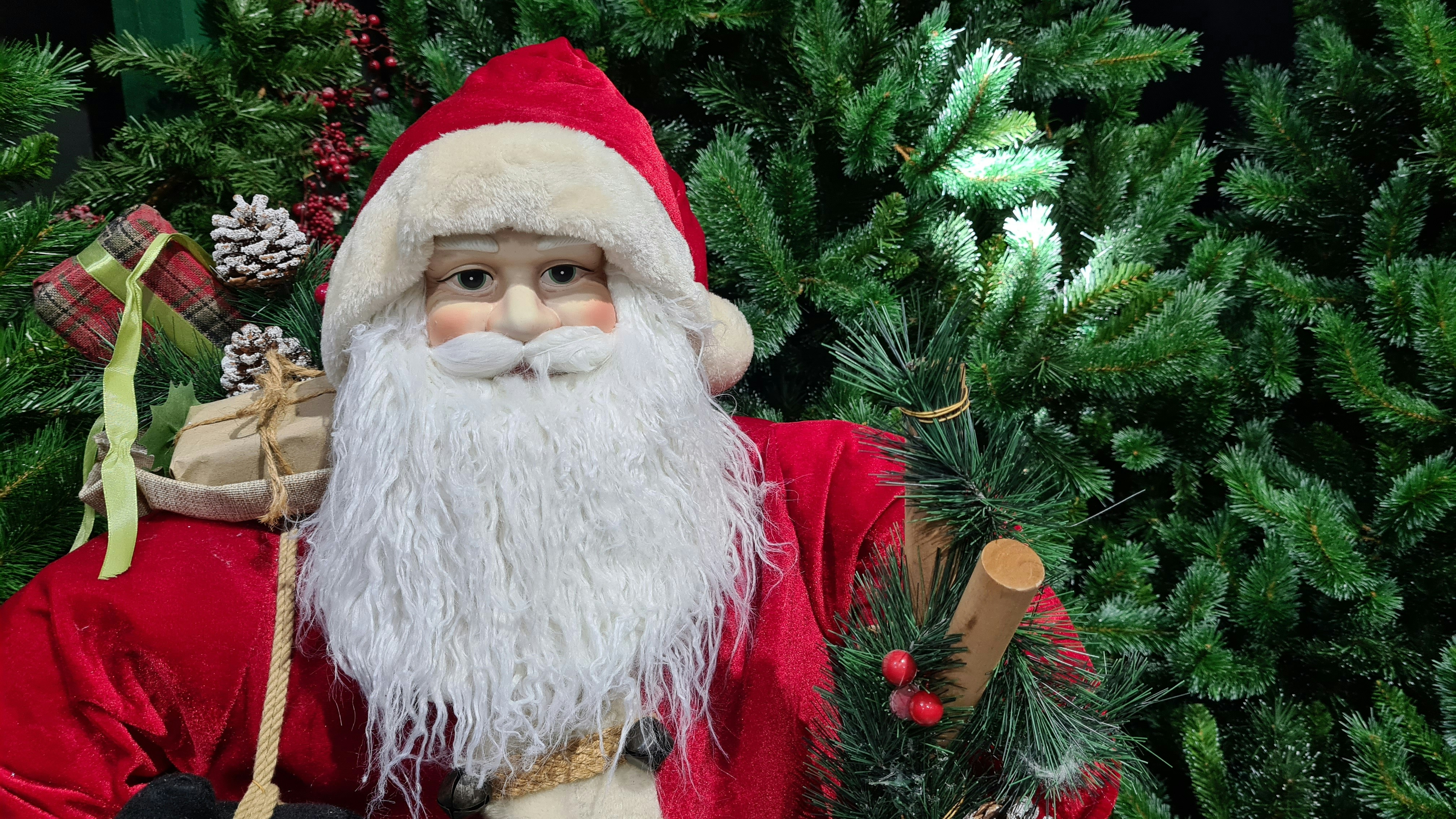 Festive Santa Claus figure adorned with a red coat and white beard, surrounded by lush evergreen foliage and holiday gifts.