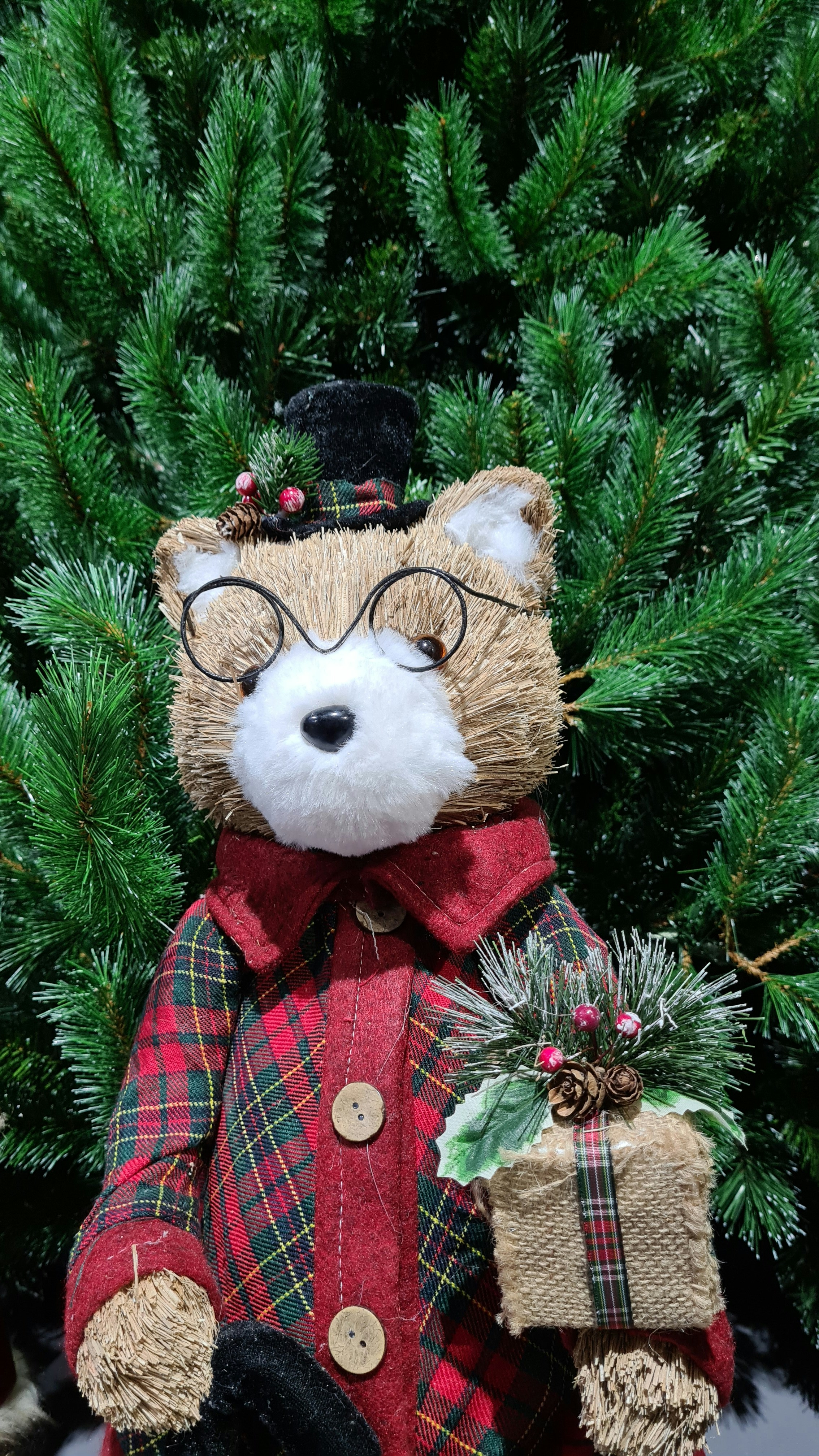 Glasses-Wearing Teddy Among Evergreen Pines Guarding a Festive Gift