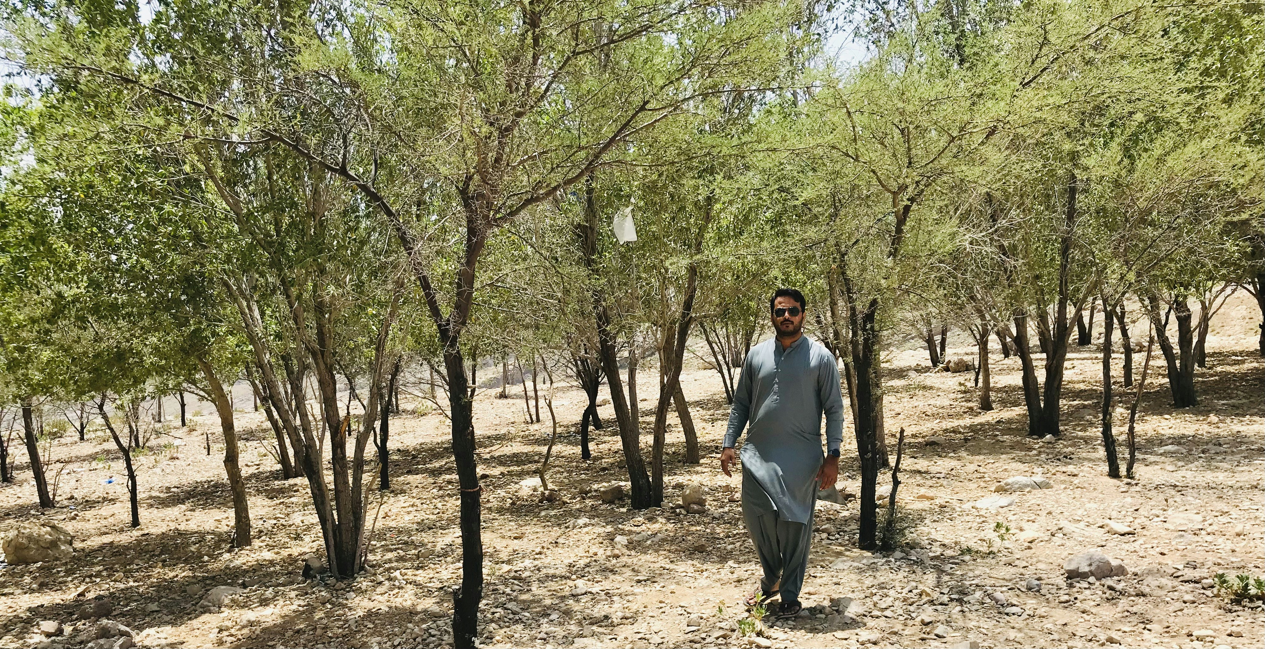 Nomad in the Orchard: A Quiet Walk Through Dappled Light
