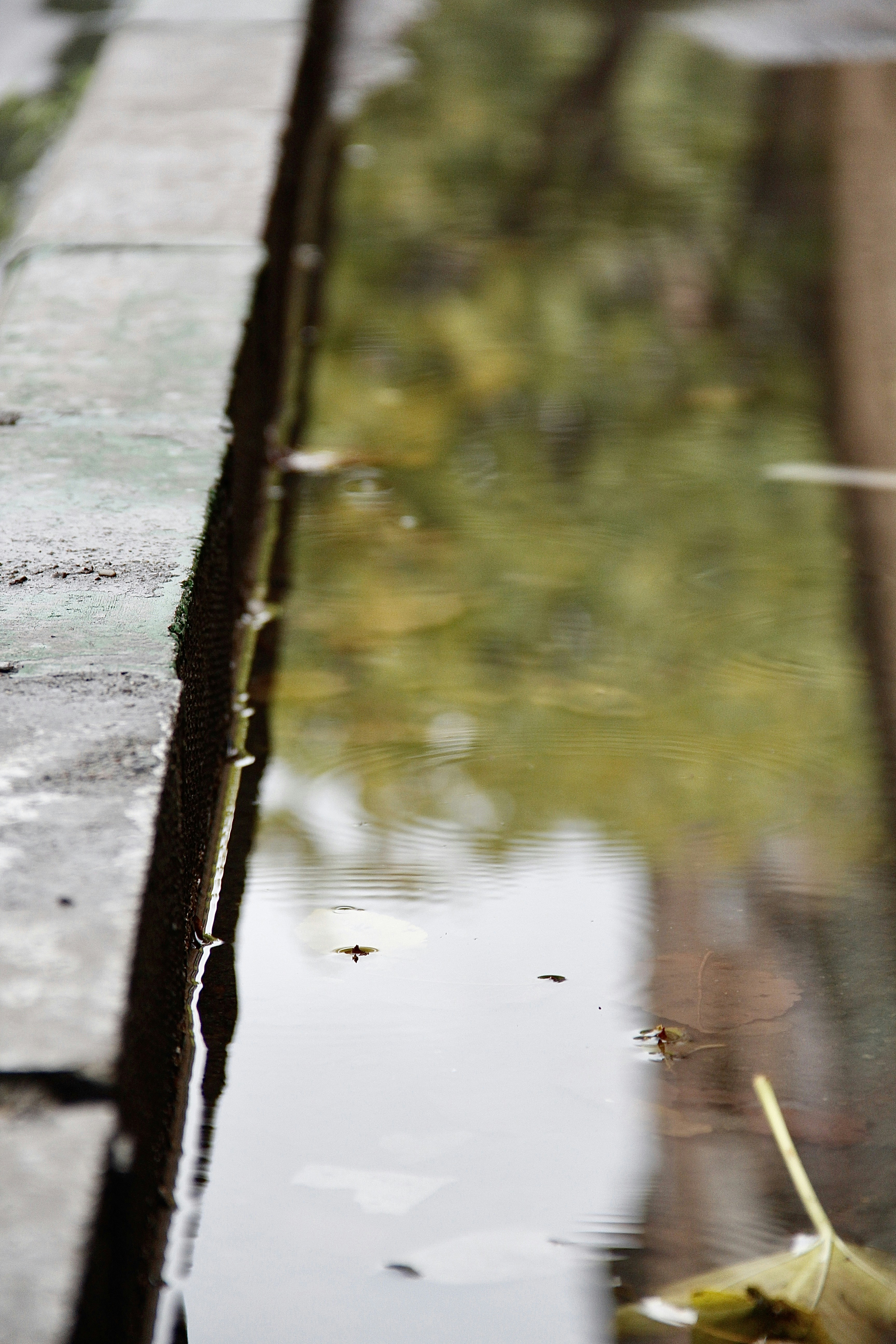 Saba Foghani (@sabasw_) | Unsplash Photo Community