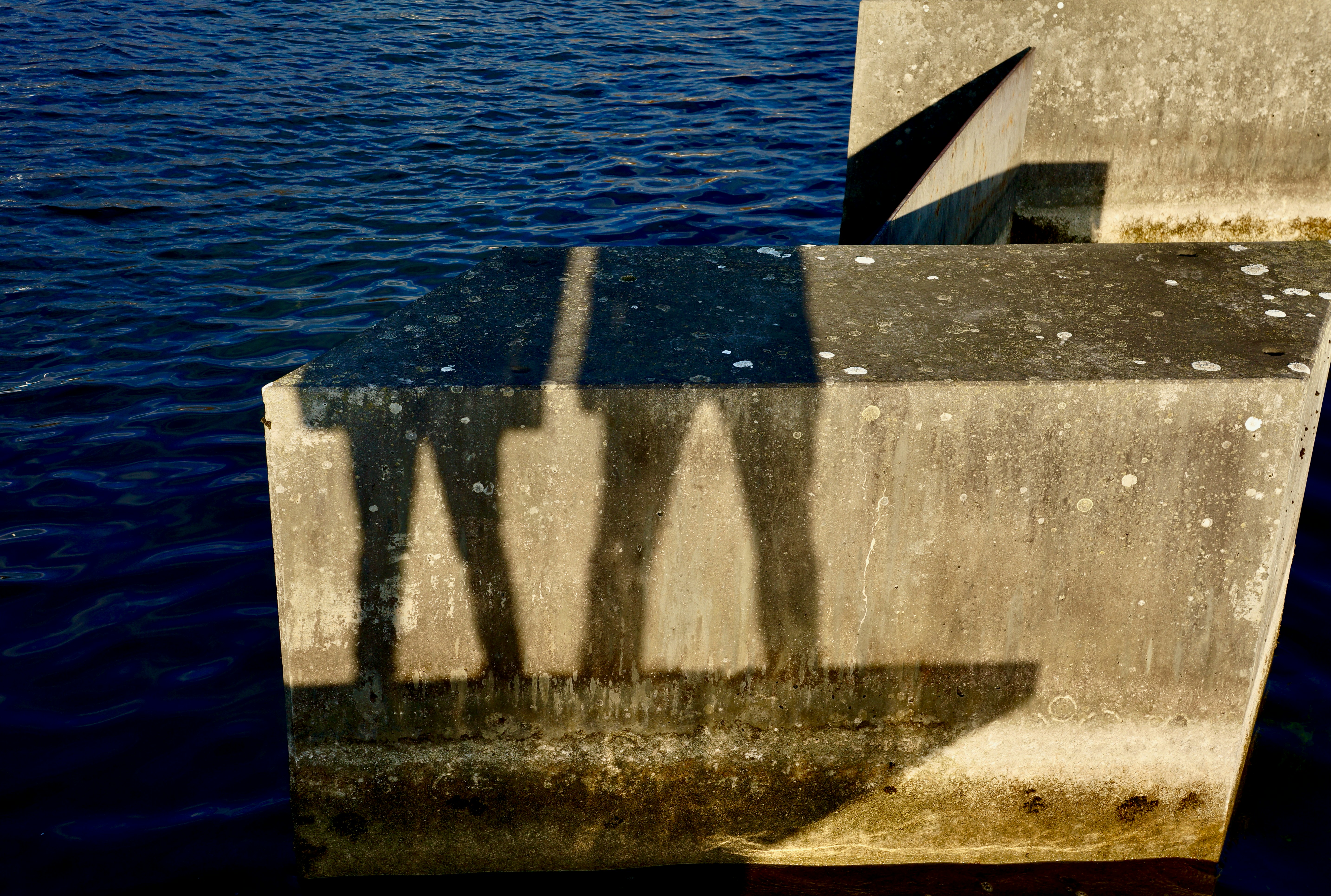 shadows