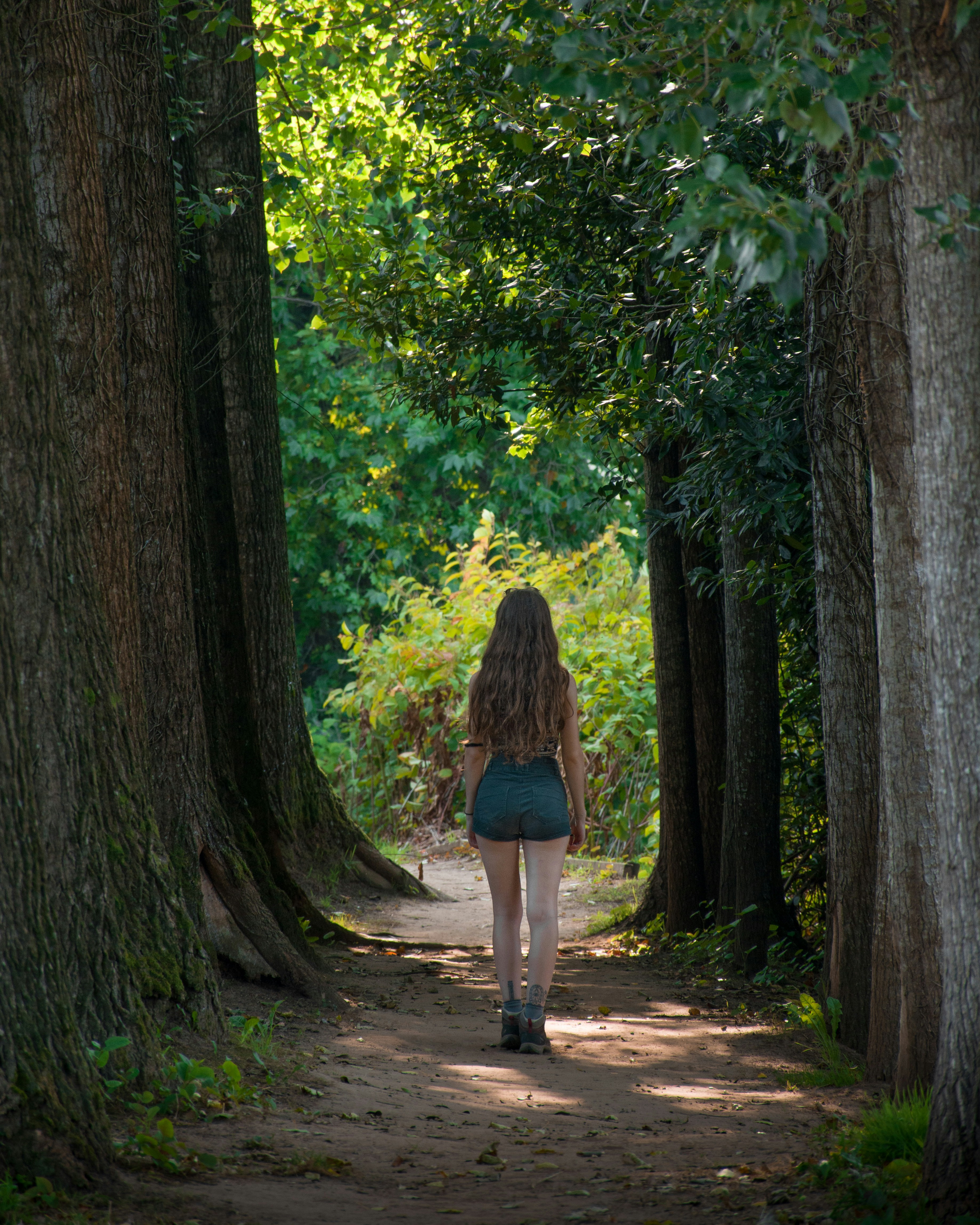 A woman walking down a dirt path between two trees photo – Free Forest ...