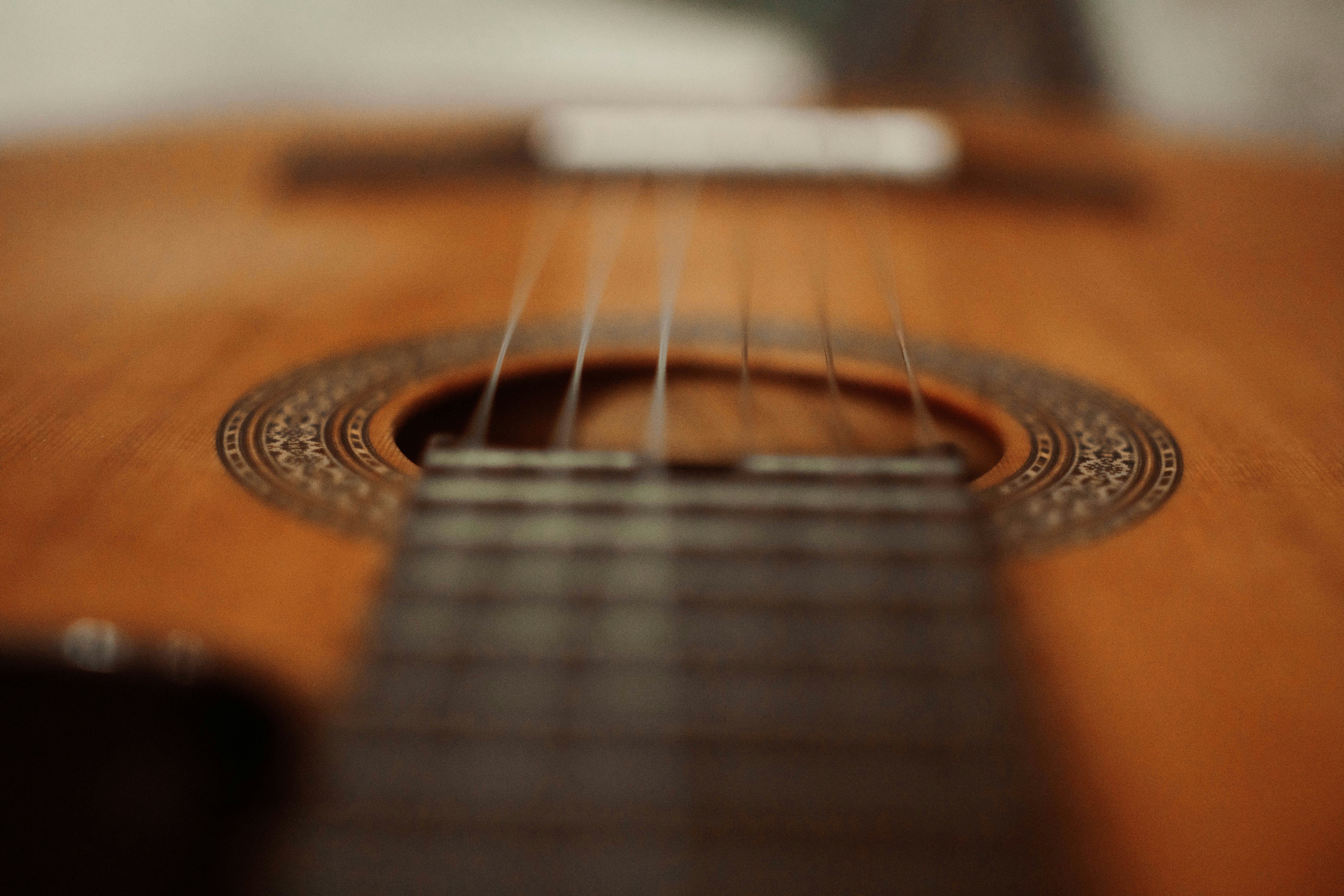 A close up of a guitar strings and strings photo – Free Guitar Image on ...