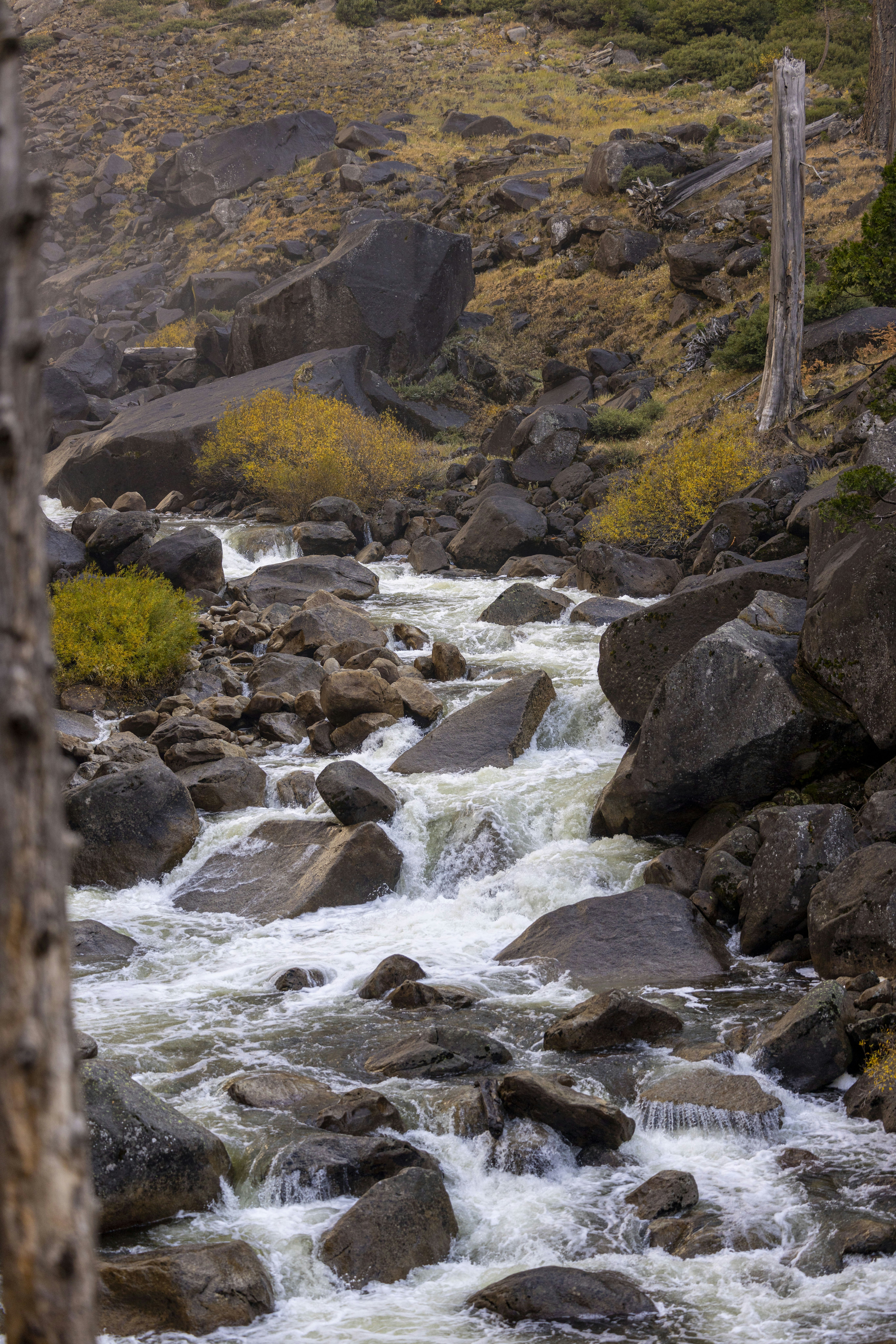 A stream of water running between rocks and trees photo – Free Yosemite ...