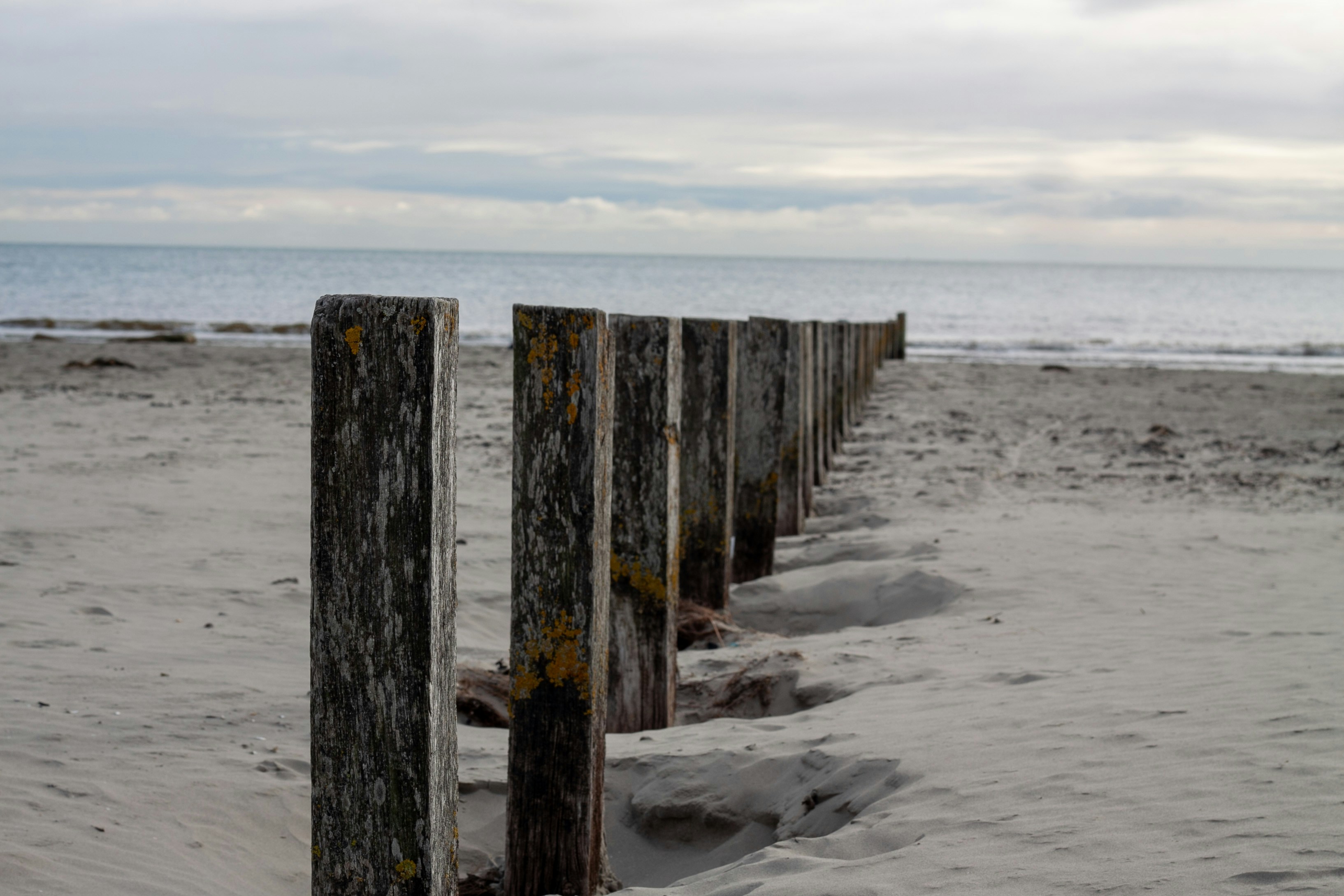 A row of wooden posts sitting on top of a sandy beach photo – Free ...