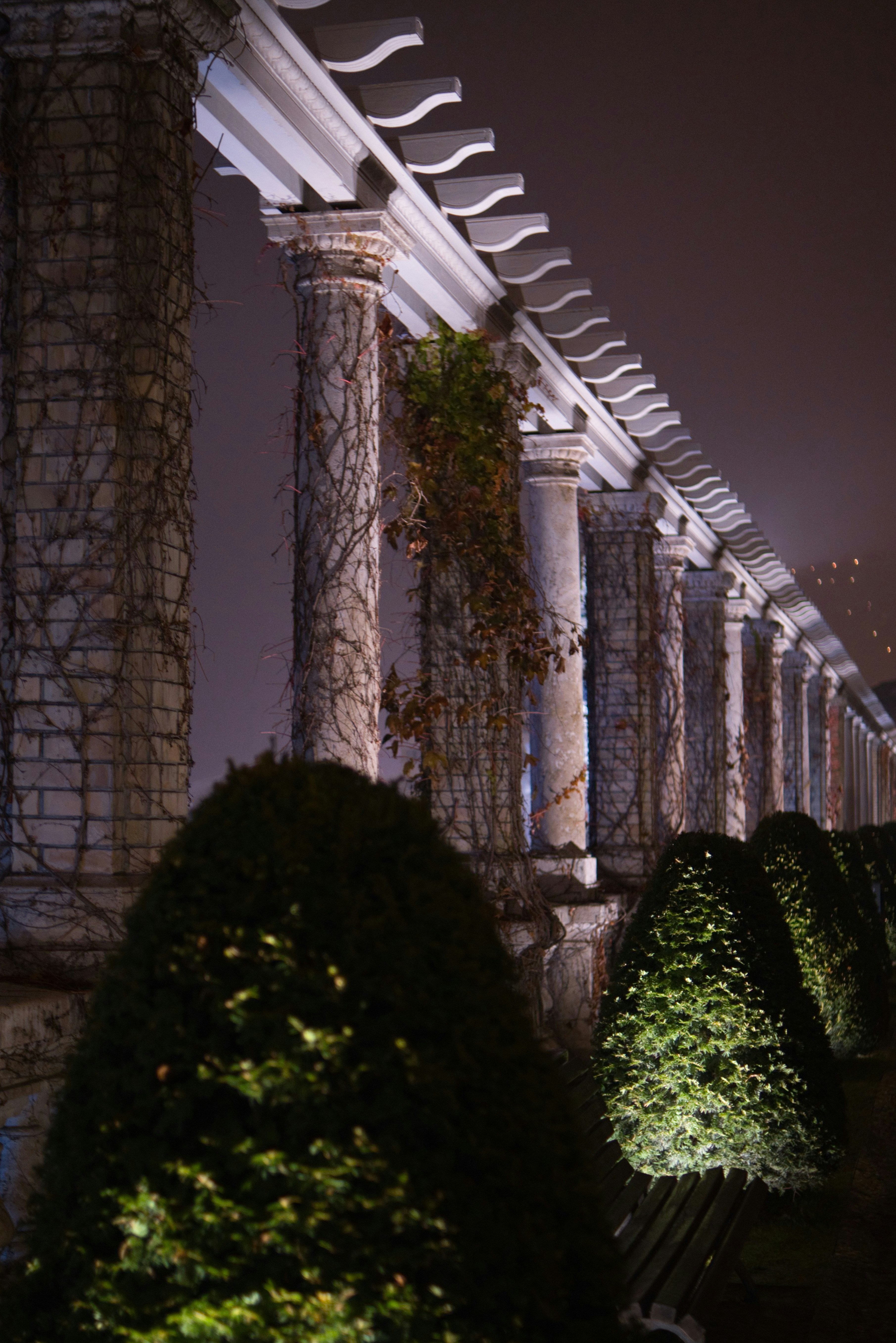 Nightfall on the Ivy-Clad Colonnade: A Silent Axis of Stone