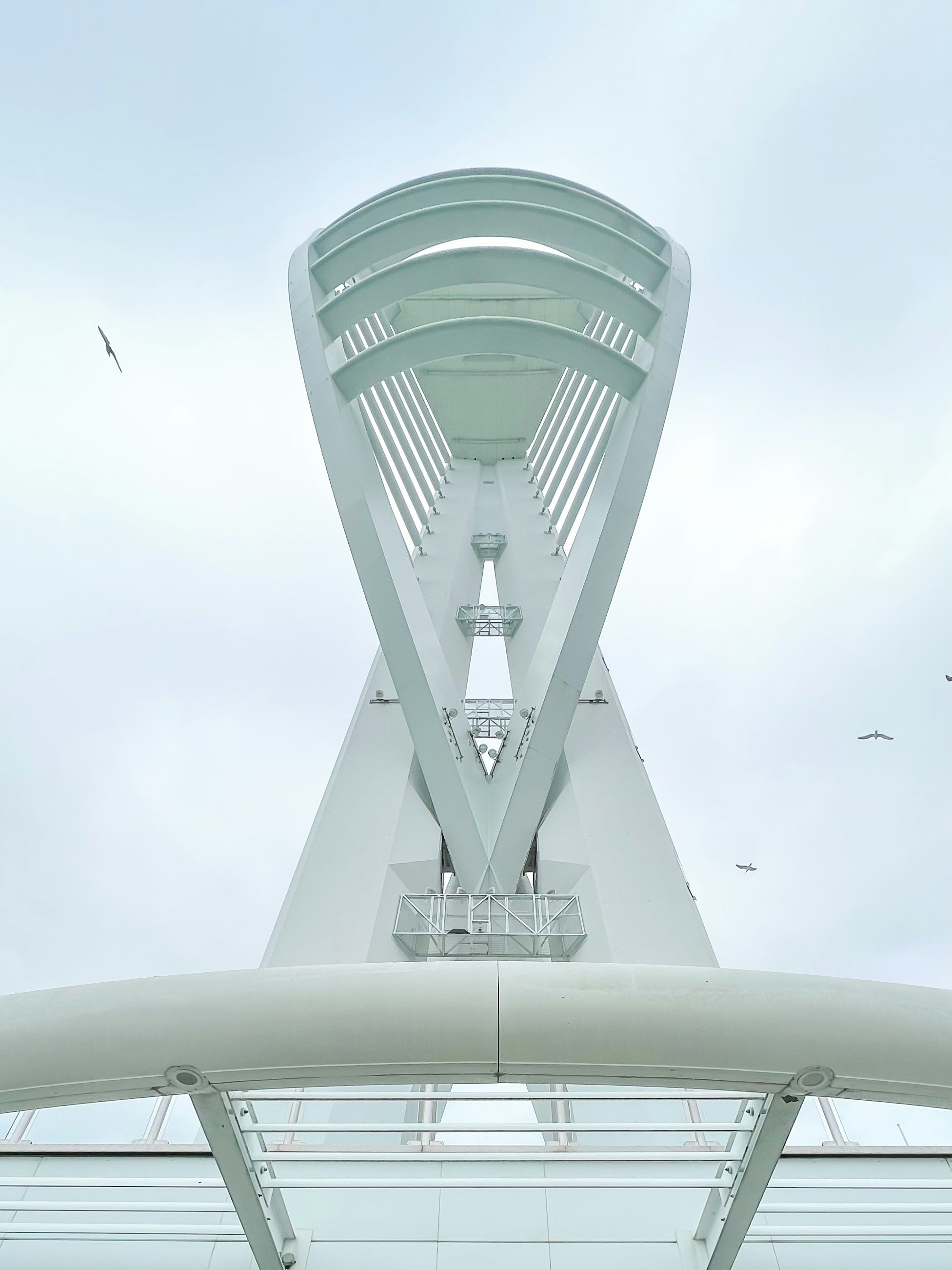Archway Ascending: White Spine Reaching the Pale Sky