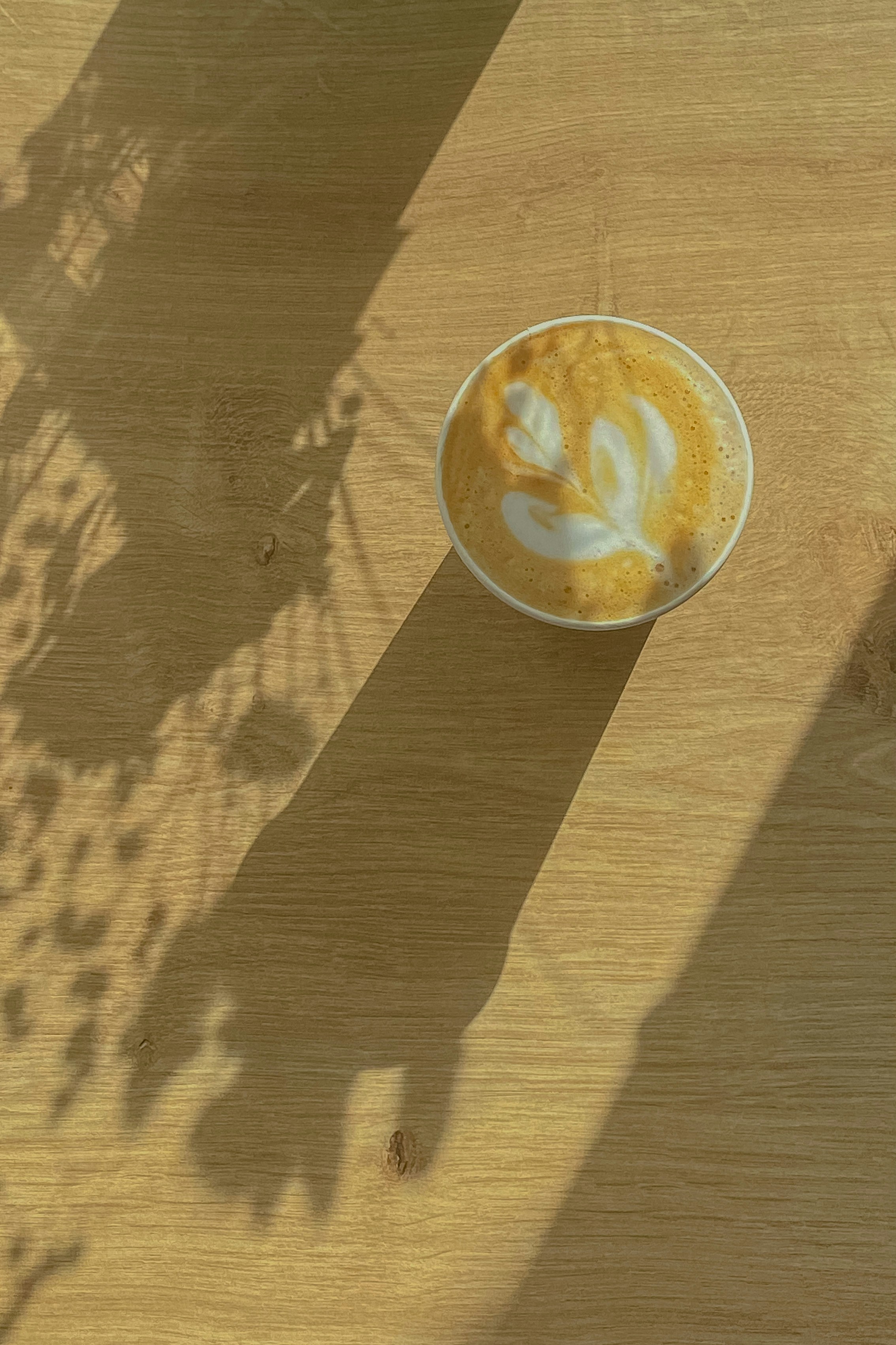 Leaf-Shadowed Latte on a Sunlit Wooden Table