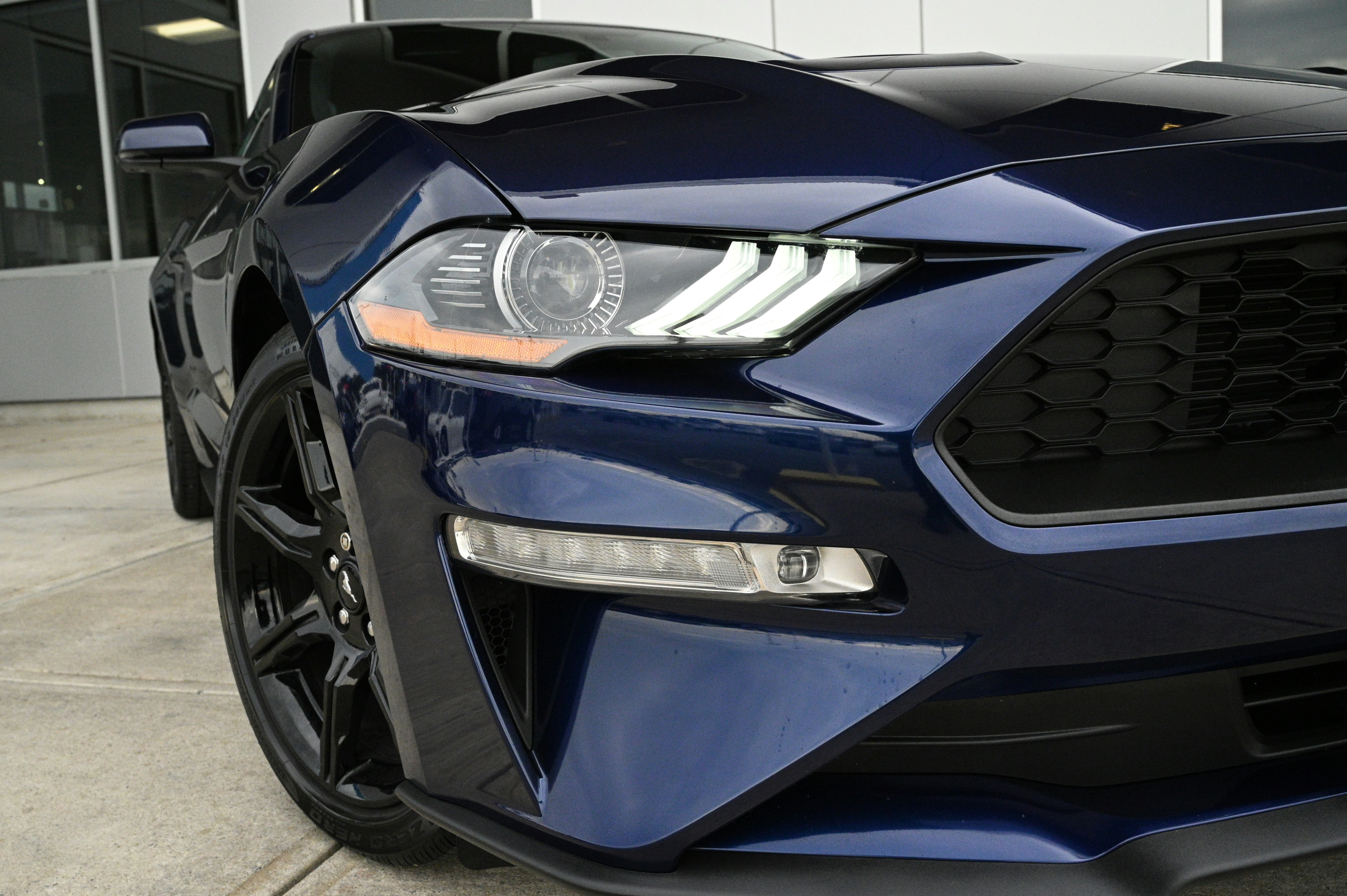A close up of the front of a blue mustang photo – Free Exterior Image ...