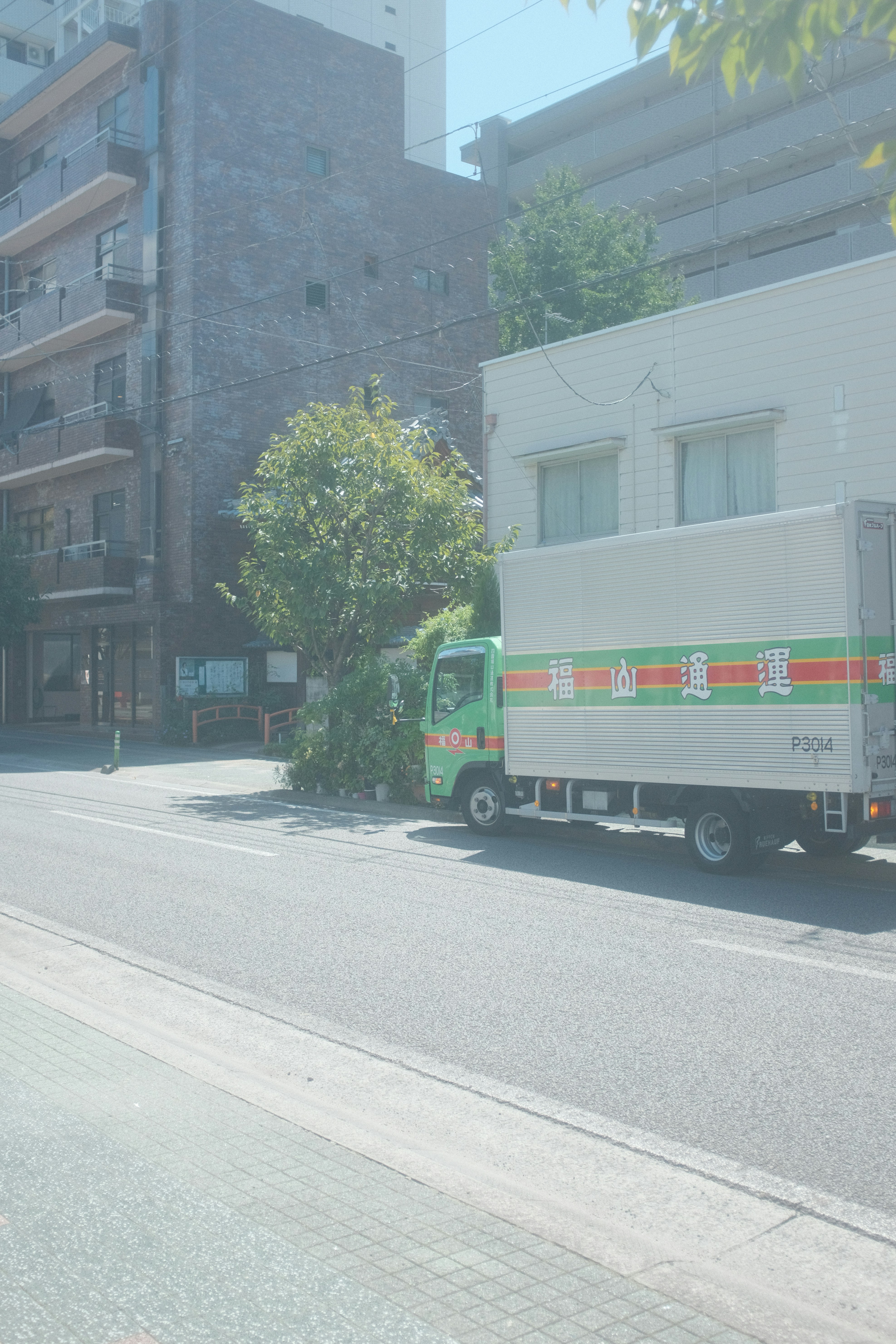 Green Parcel Truck Under a Leafy City Canopy