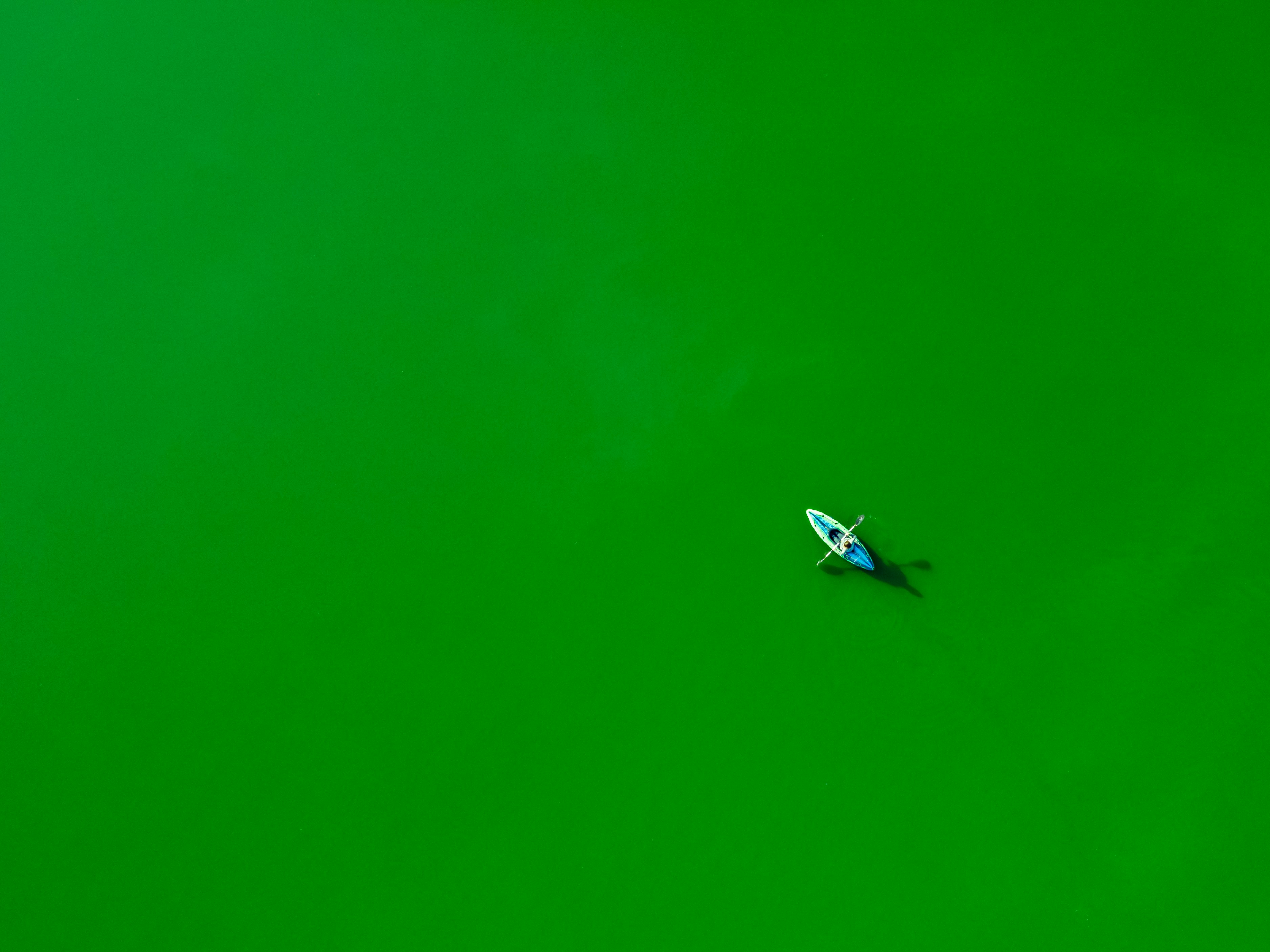 Green Void, Tiny Sail: A Lone Sailboarder in Vibrant Emerald