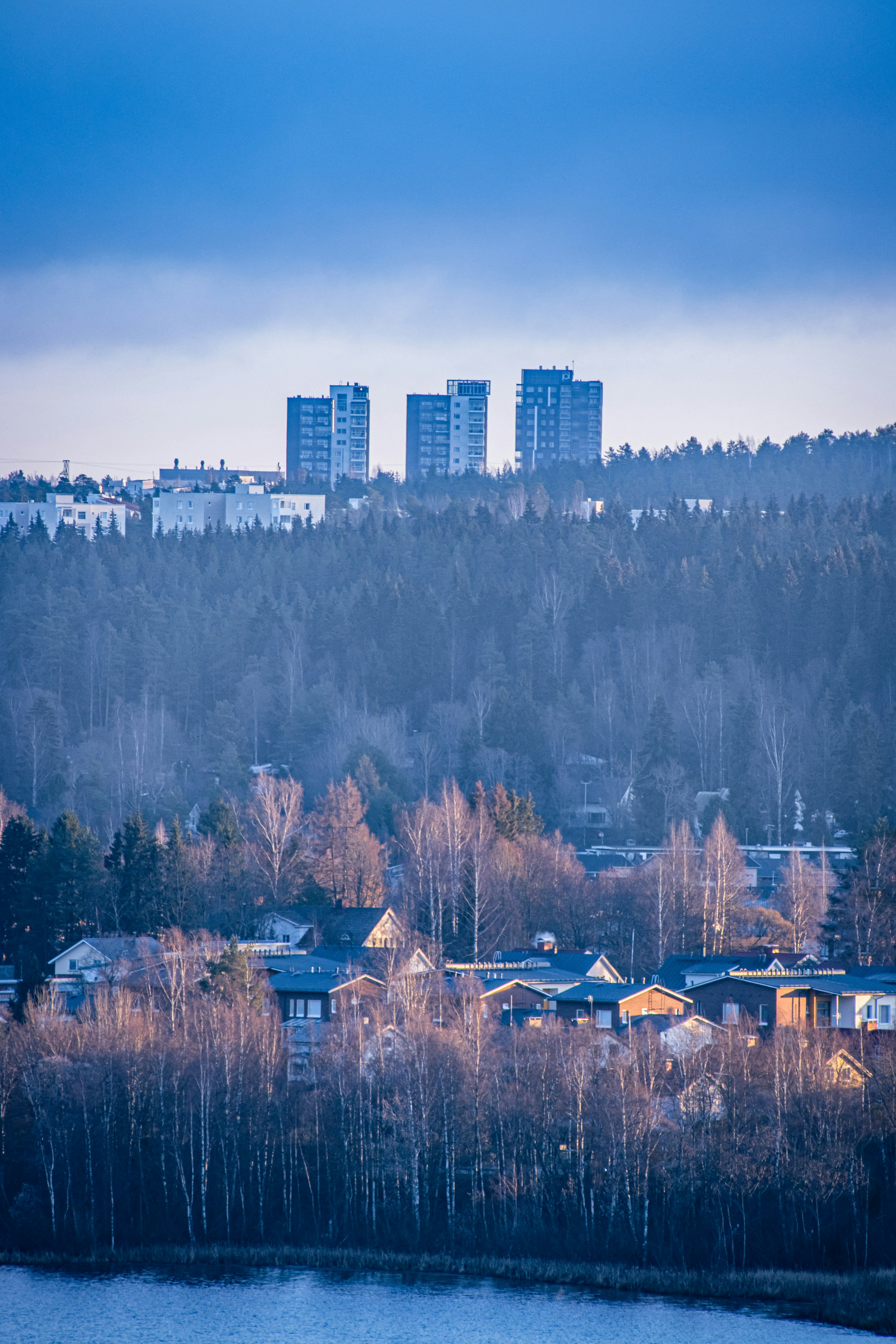 Horizon Over Pines: High-Rise Silhouettes Above a Quiet Winter Forest