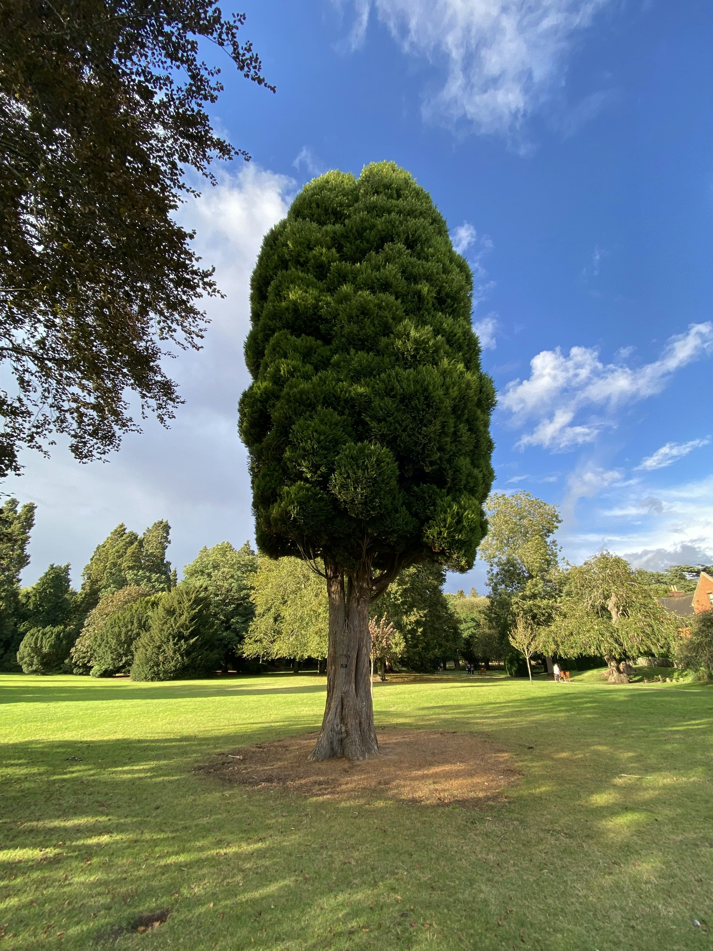 Tomasz Tomal (@tomaltomasz) | Communauté photos Unsplash