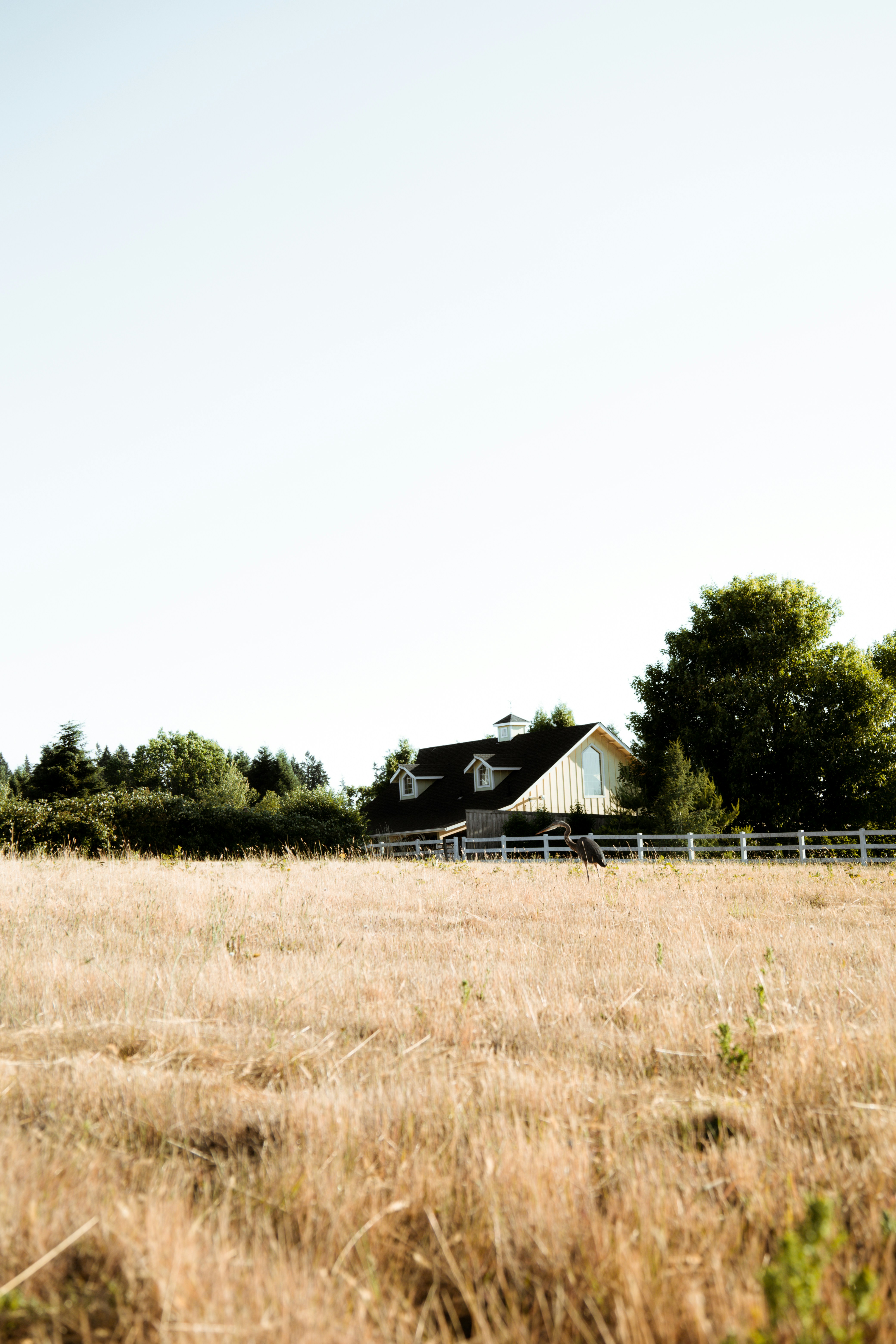 Charming rural house nestled among lush greenery and golden fields under a clear sky.