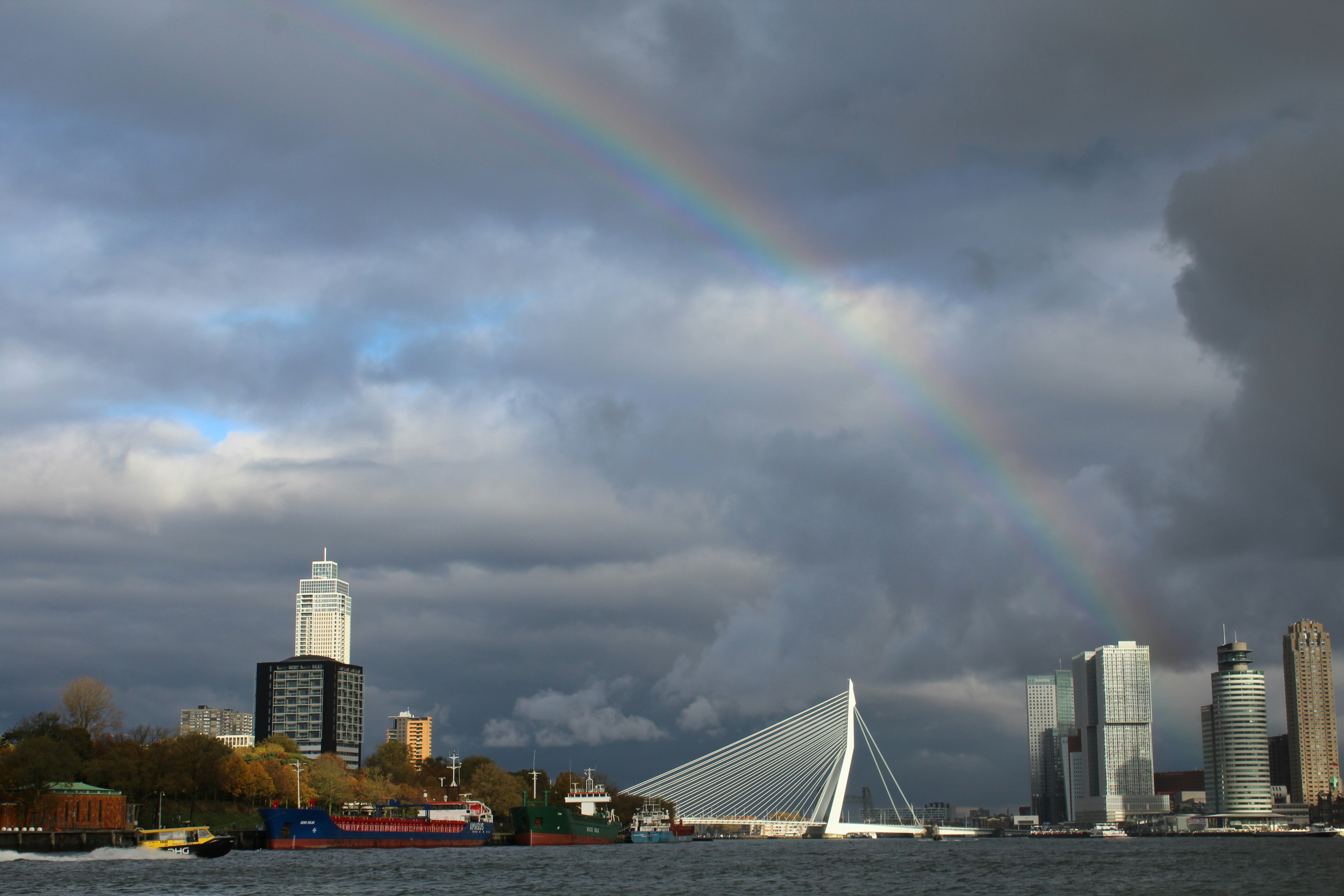 Rainbow Over the Riverfront: A Cable-Stayed Bridge Framed by City Skyscrapers