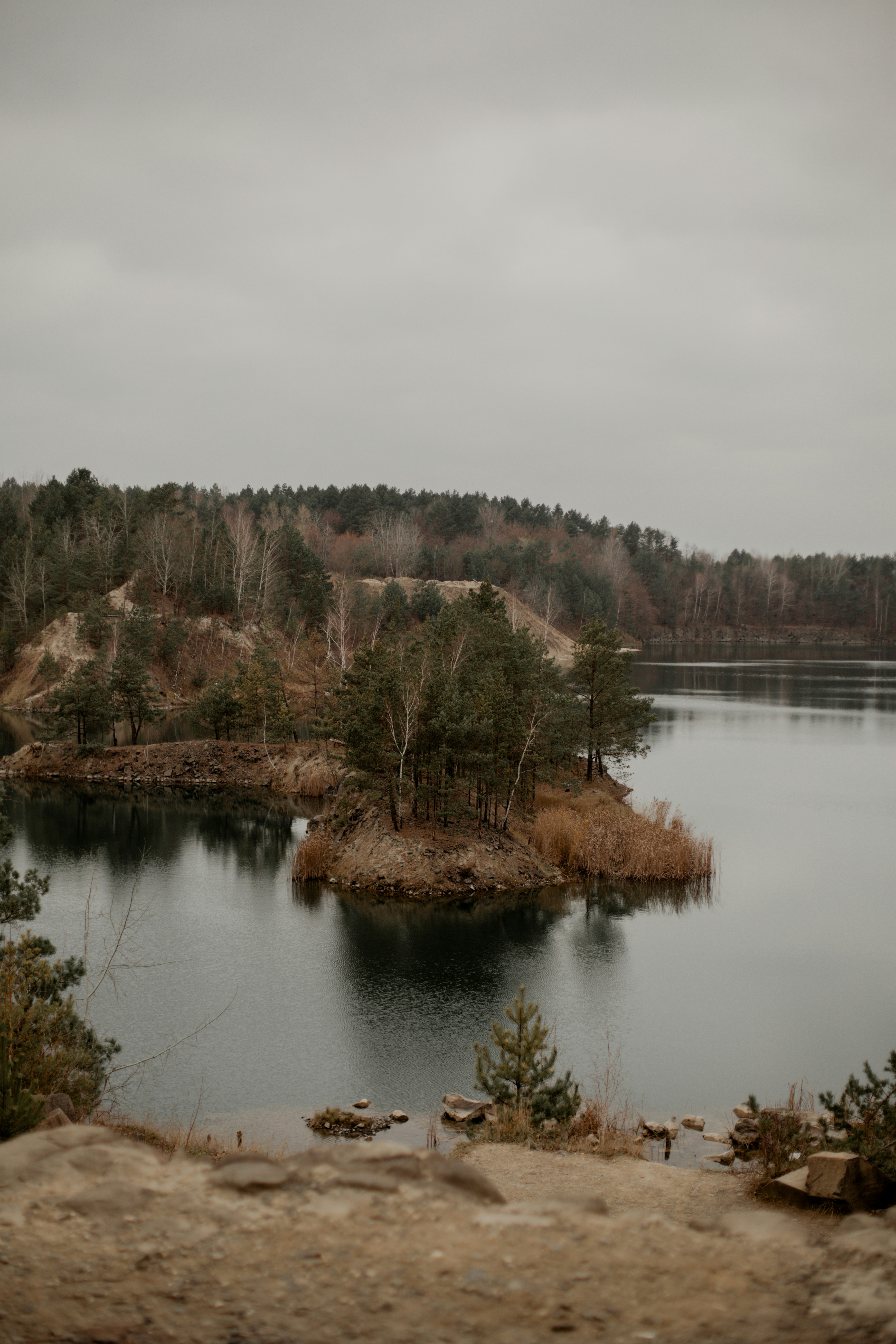 a body of water surrounded by a forest